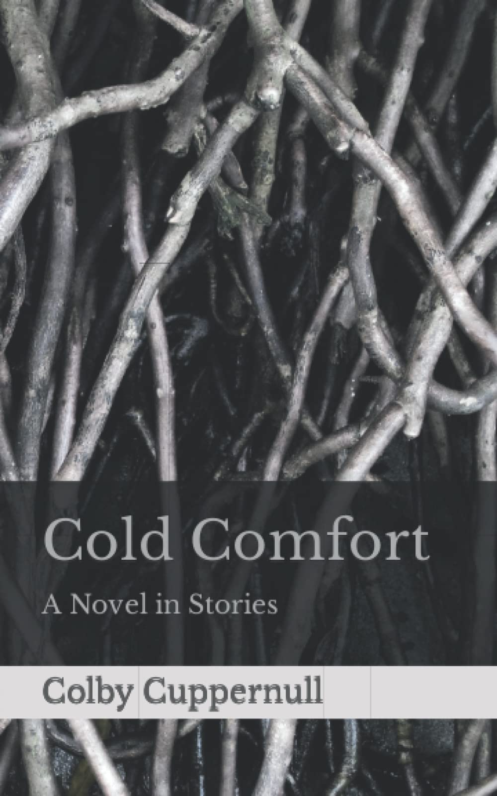 Cold Comfort: A Novel in Stories by Colby Cuppernull | Goodreads