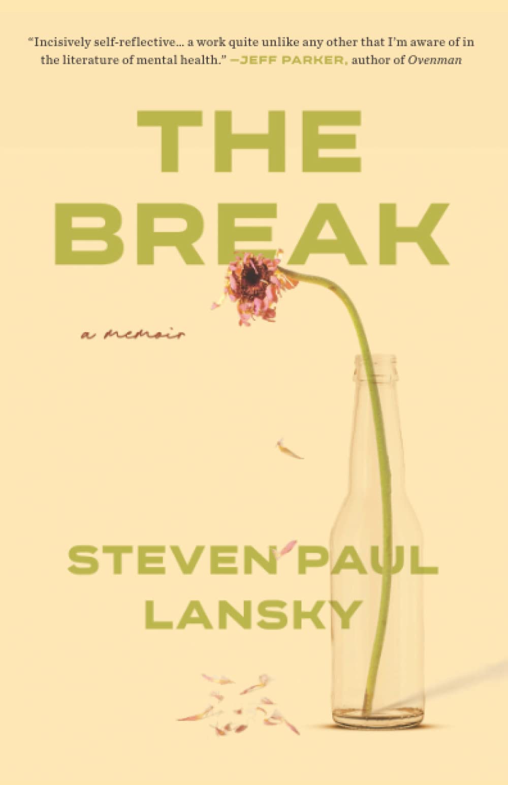 The Break: a memoir by Steven Paul Lansky | Goodreads