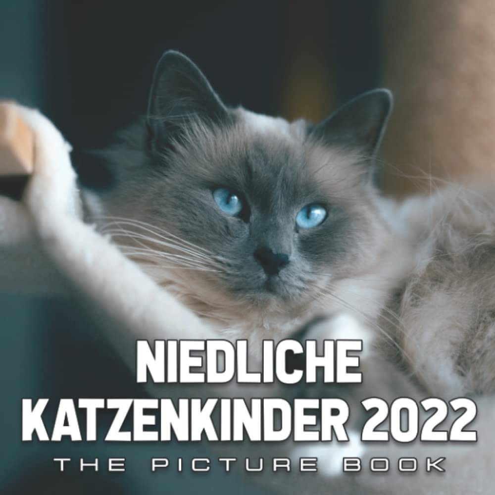 Niedliche Katze PhotoBook: Compelling Photos Of Niedliche Katze ...