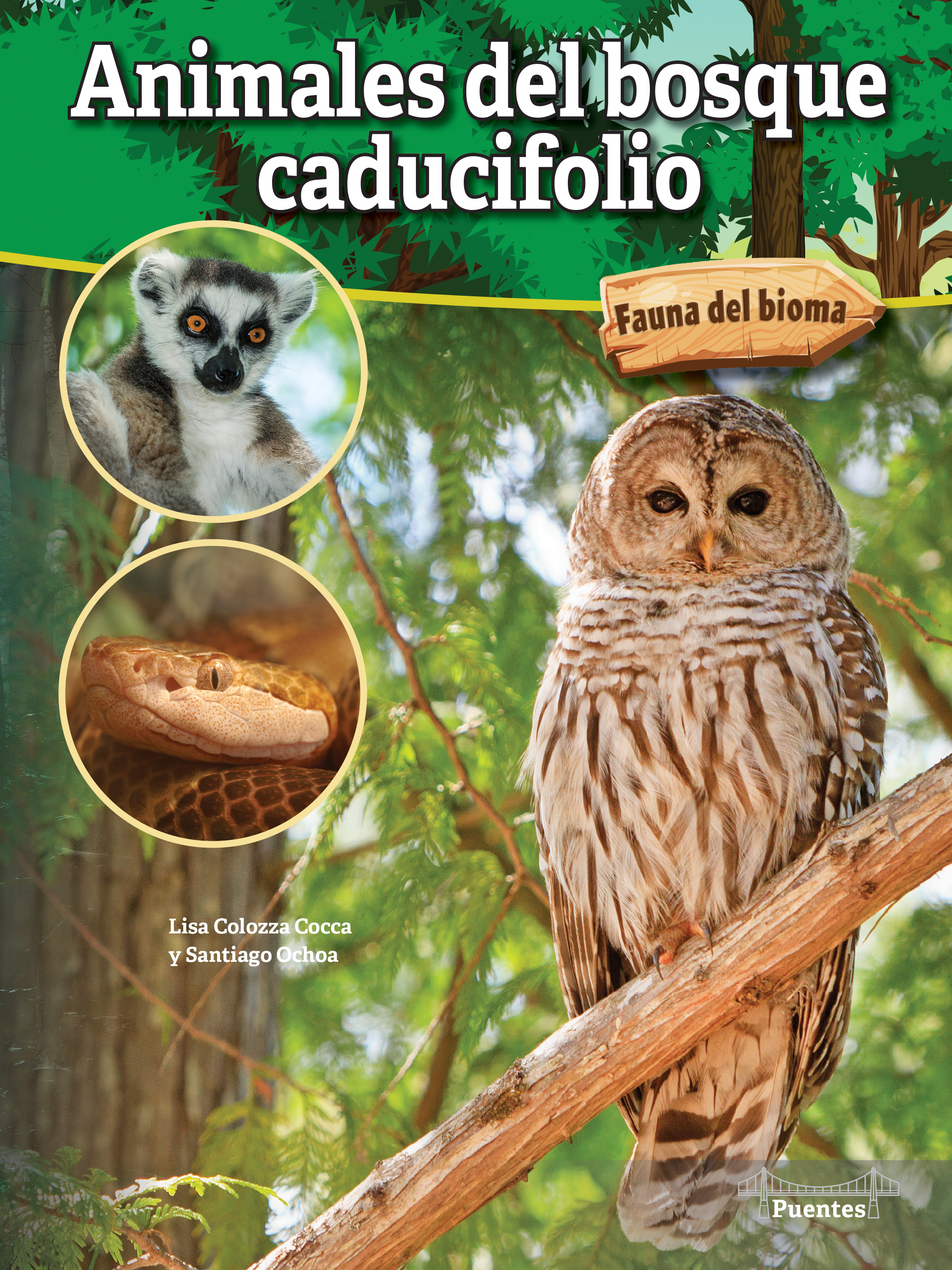 Rourke Educational Media Animales del bosque caducifolio (Deciduous ...