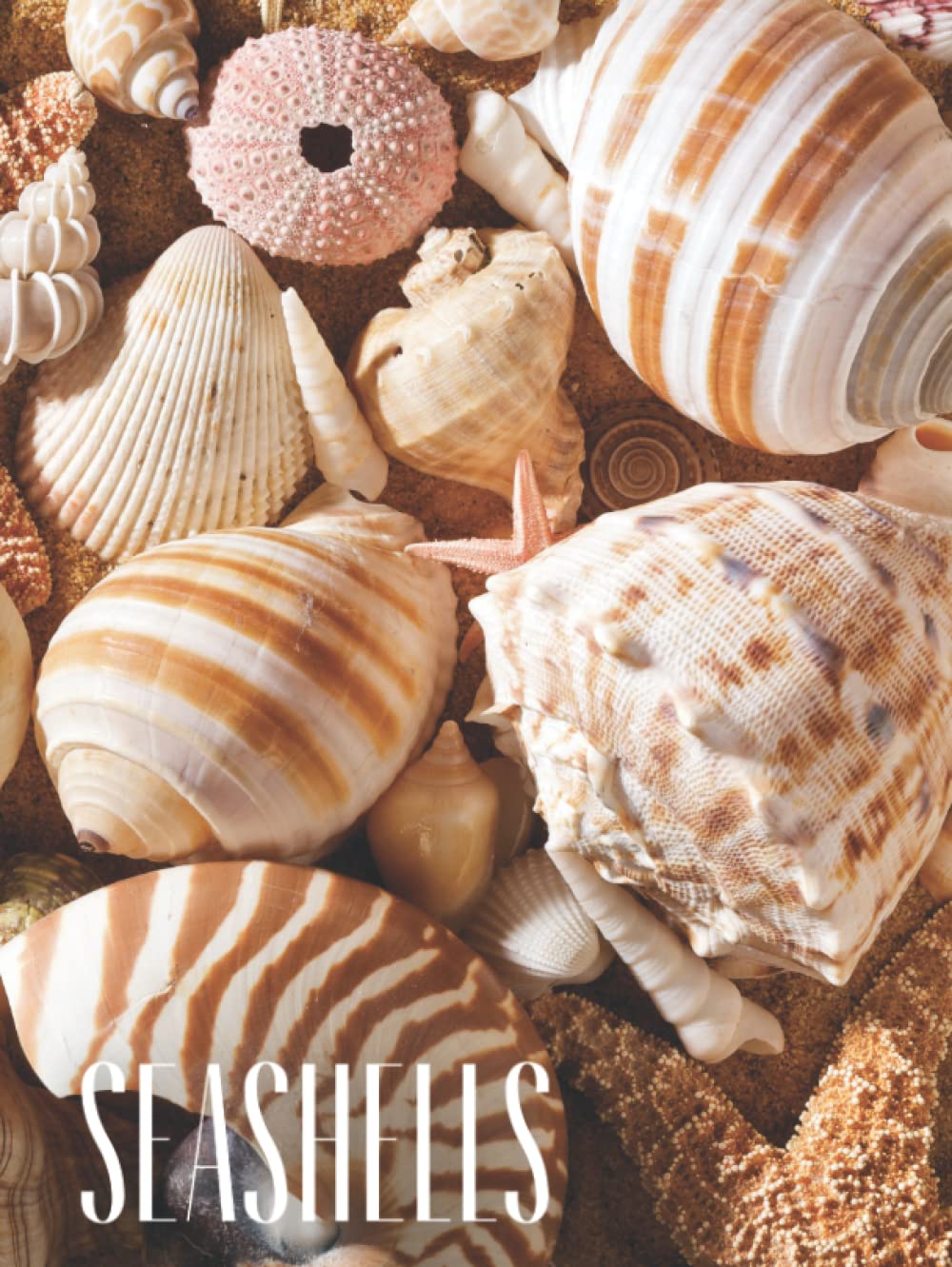 Seashells: Decorative stacking book for Coffee Tables & Bookshelves ...