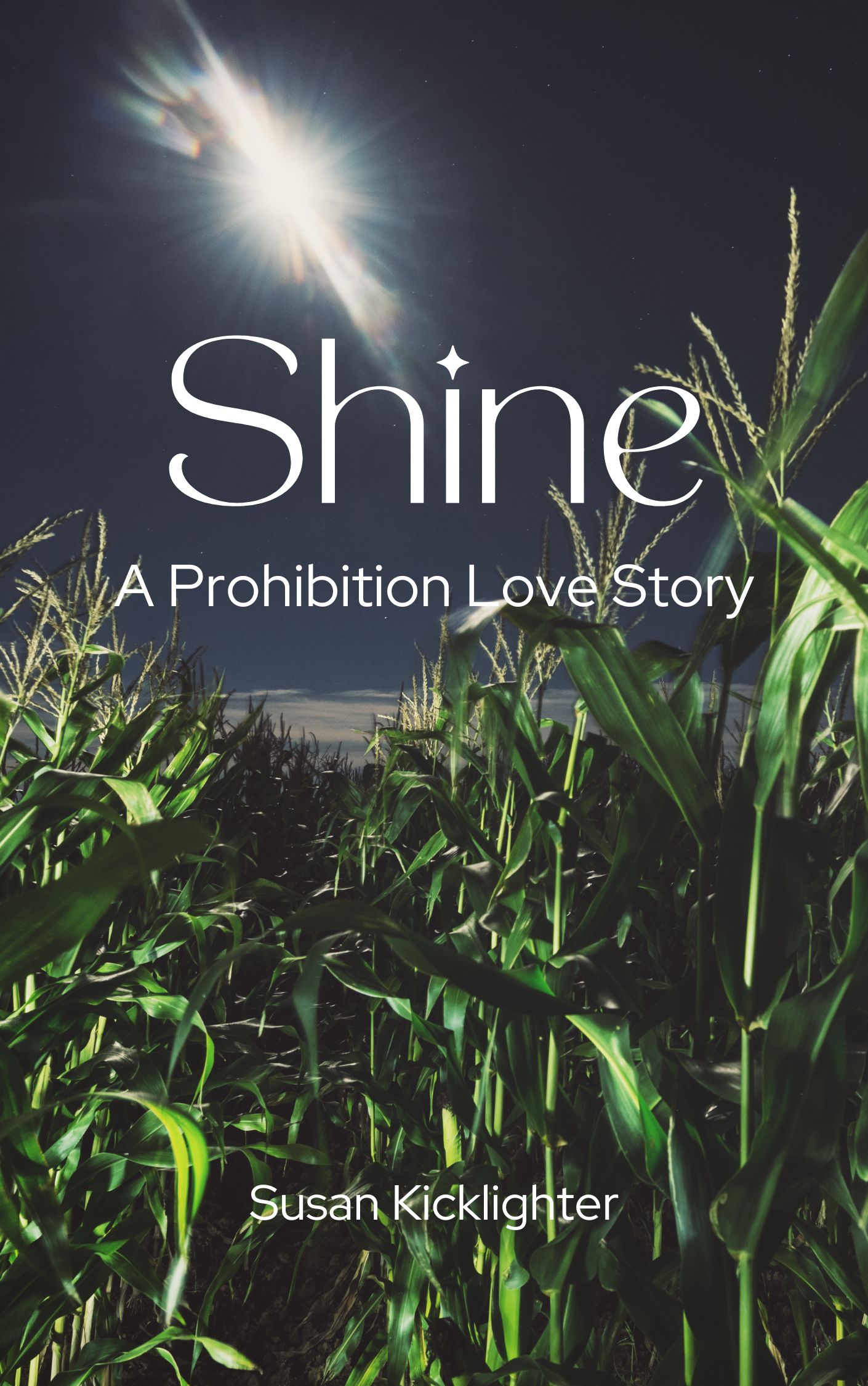 Shine by Susan Kicklighter | Goodreads