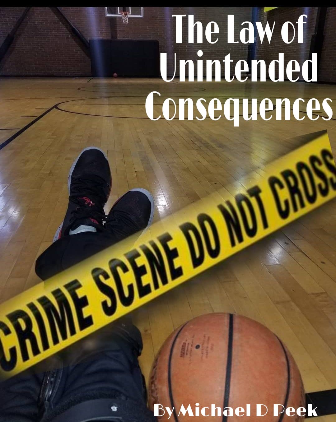 The Law of Unintended Consequences by Michael D Peek | Goodreads