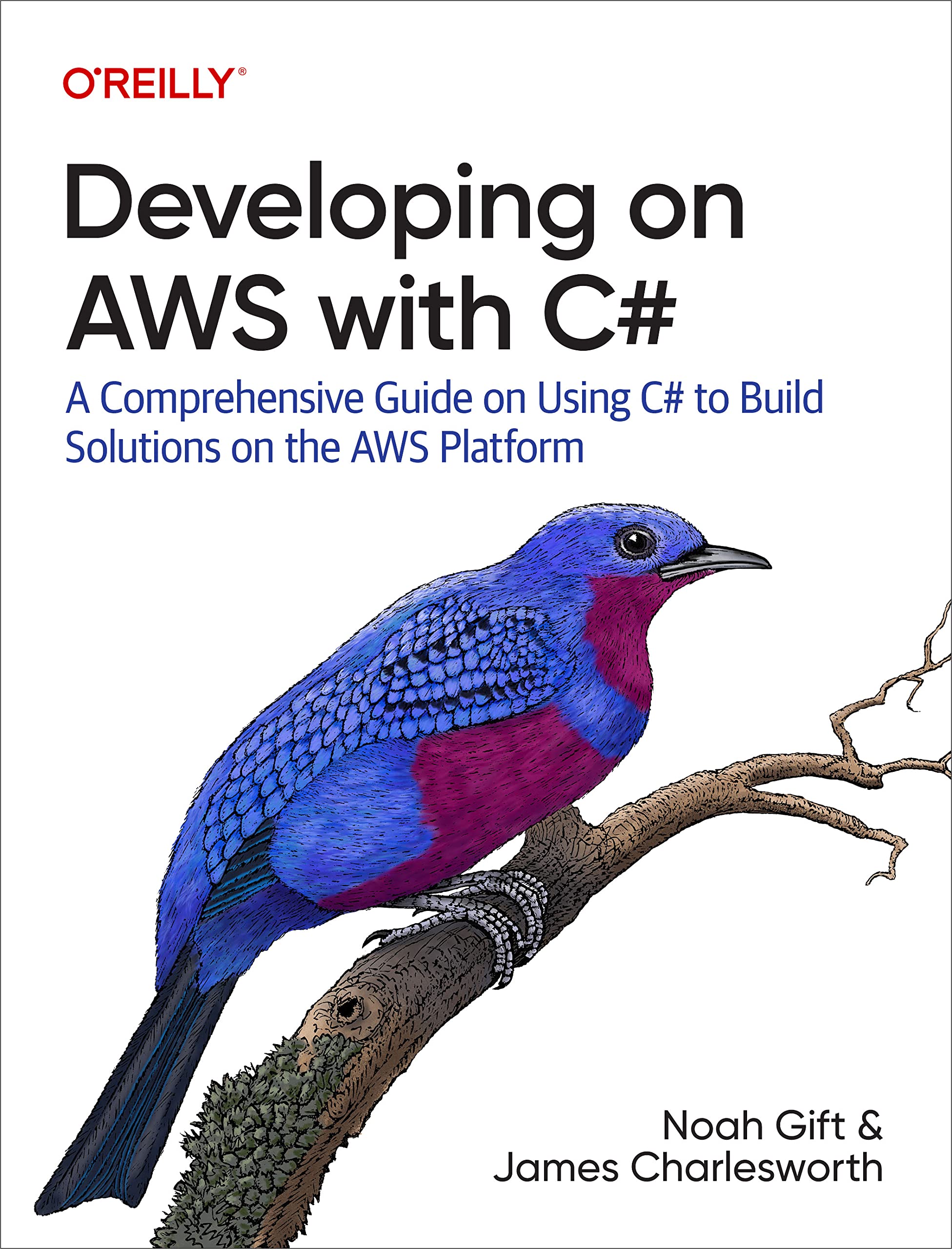 Developing on AWS with C# by Noah Gift | Goodreads