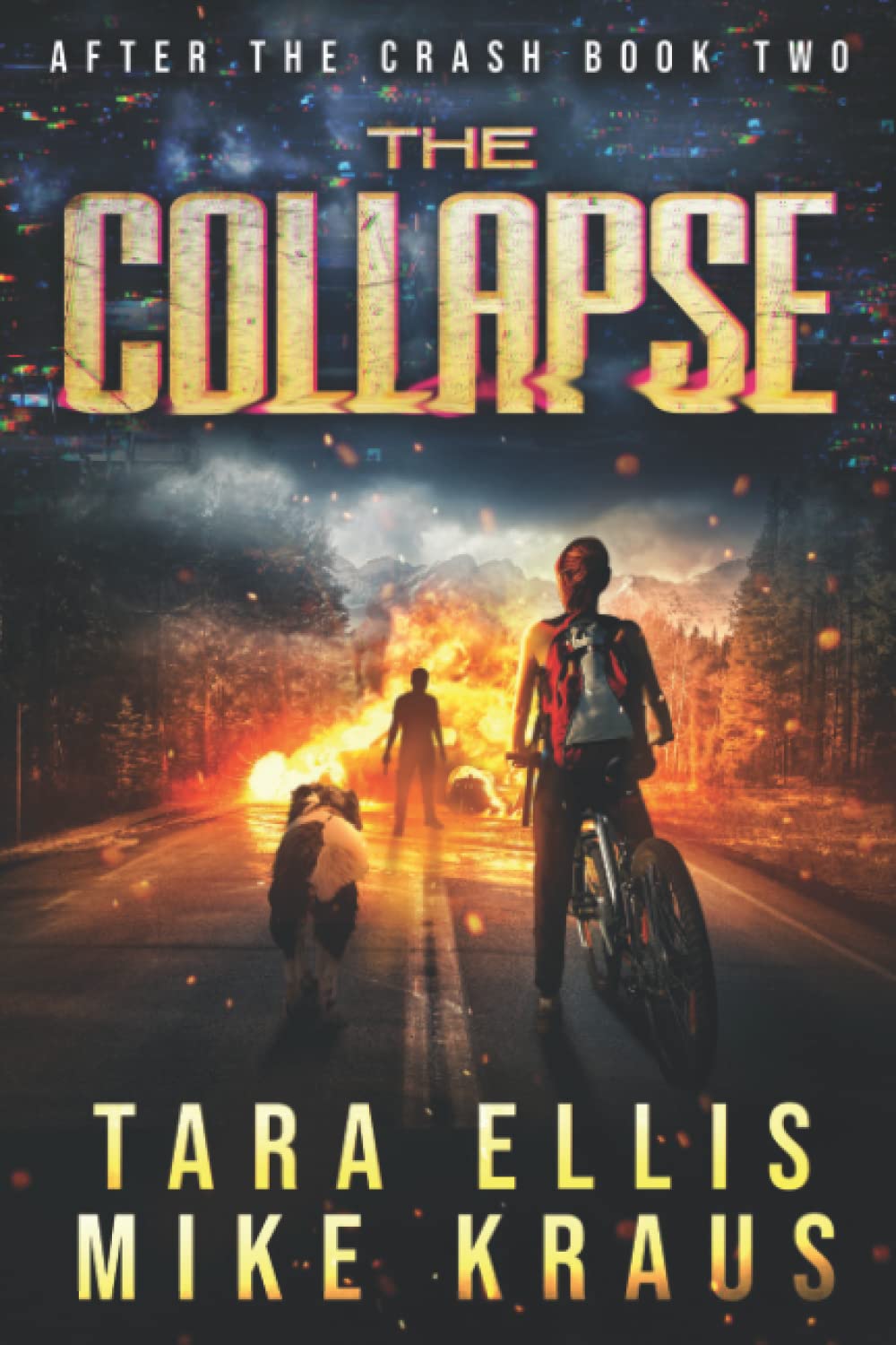 The Collapse: After the Crash Book 2 by Tara Ellis | Goodreads
