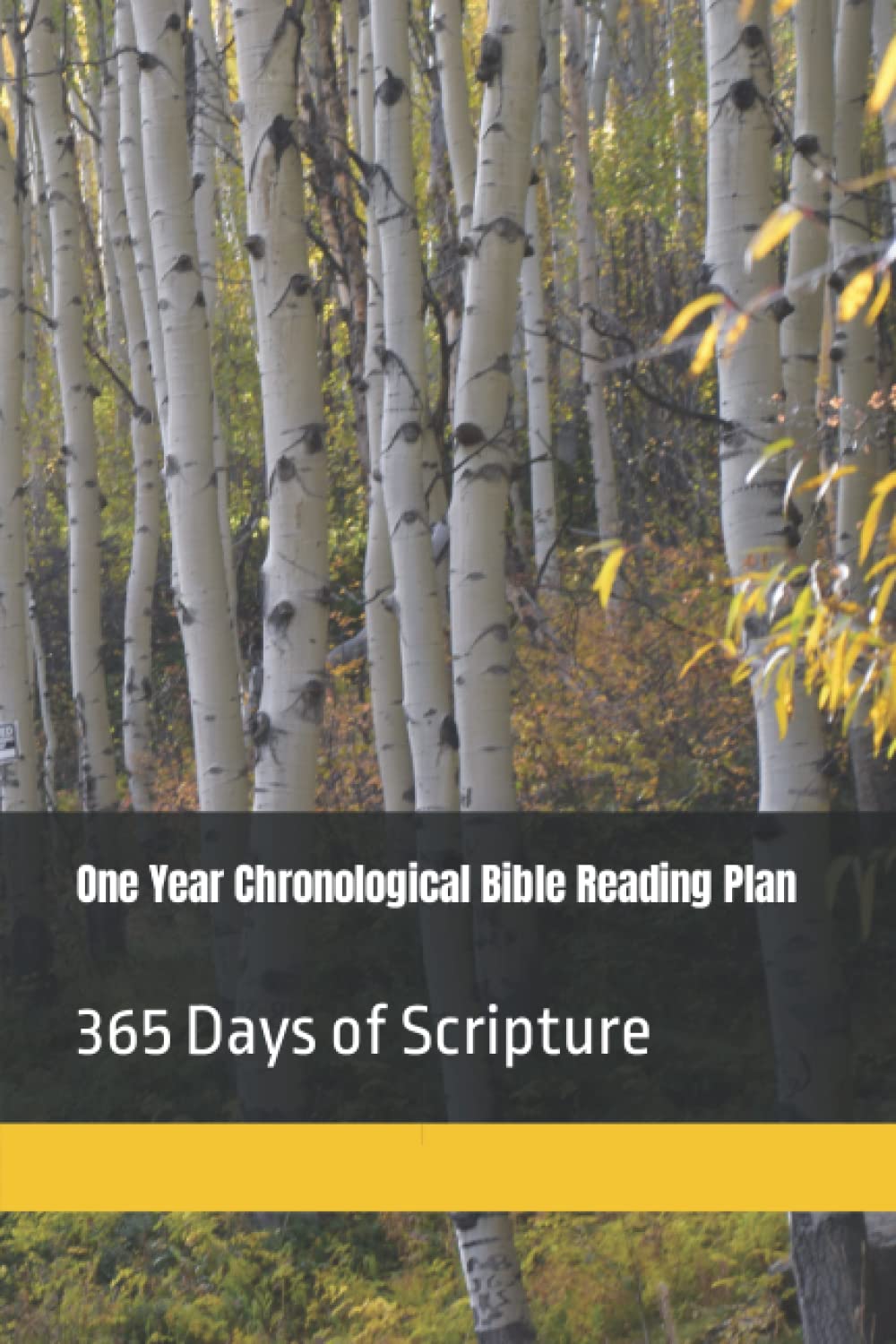 One Year Chronological Bible Reading Plan 365 Days Of Scripture By One Year Chronological Bible Reading Plan 365 Days Of Scripture By