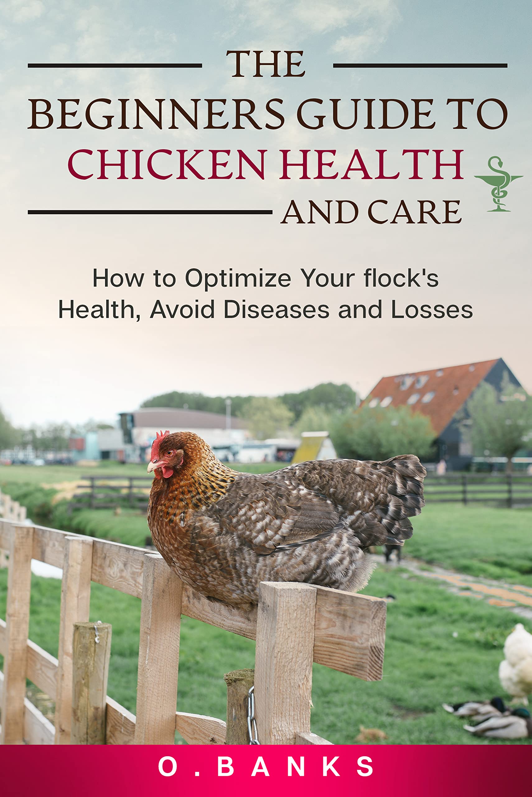 The Beginners Guide to Chicken Health and Care: How to Optimize Your ...