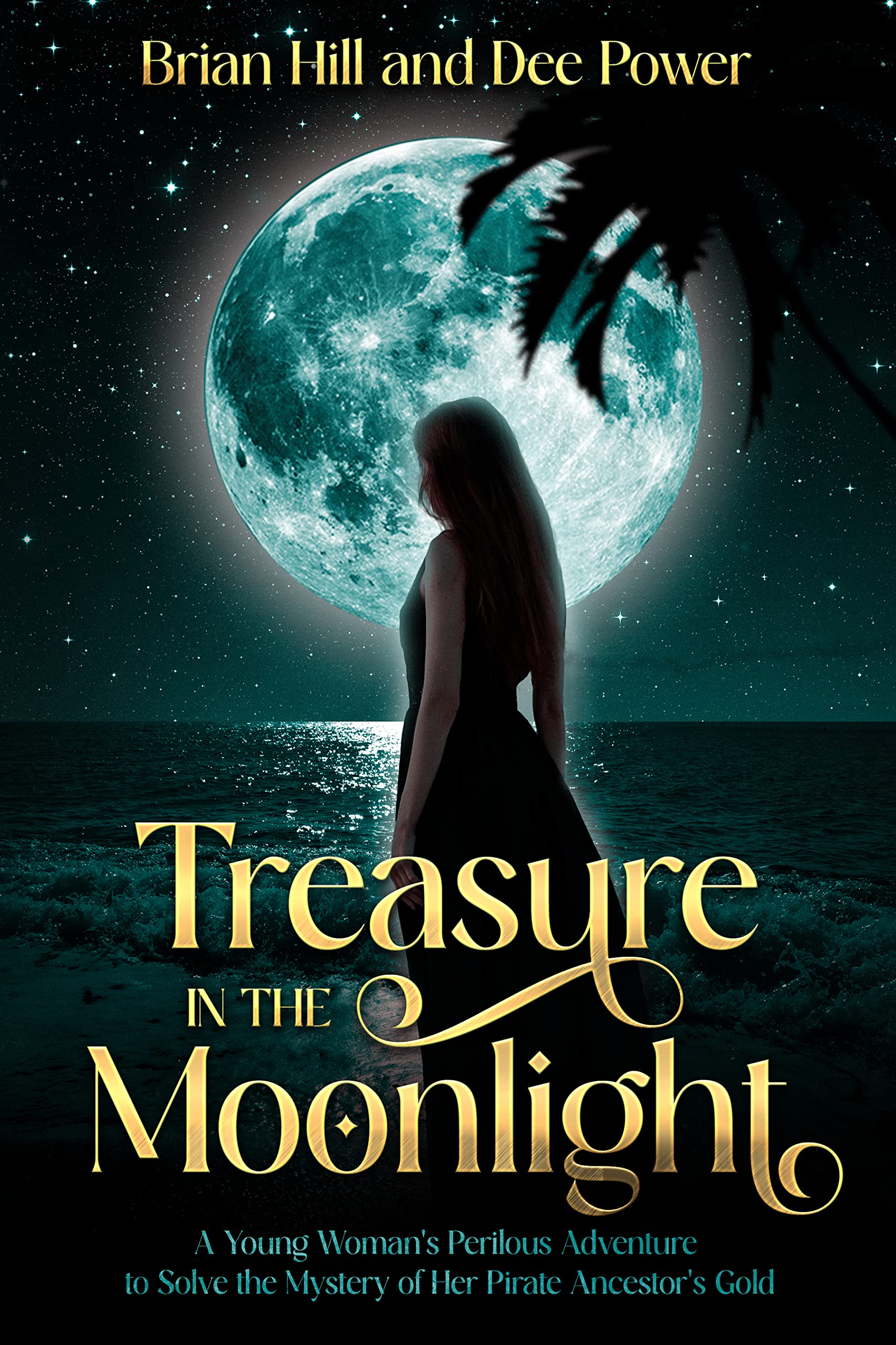 Treasure in the Moonlight by Brian Hill | Goodreads