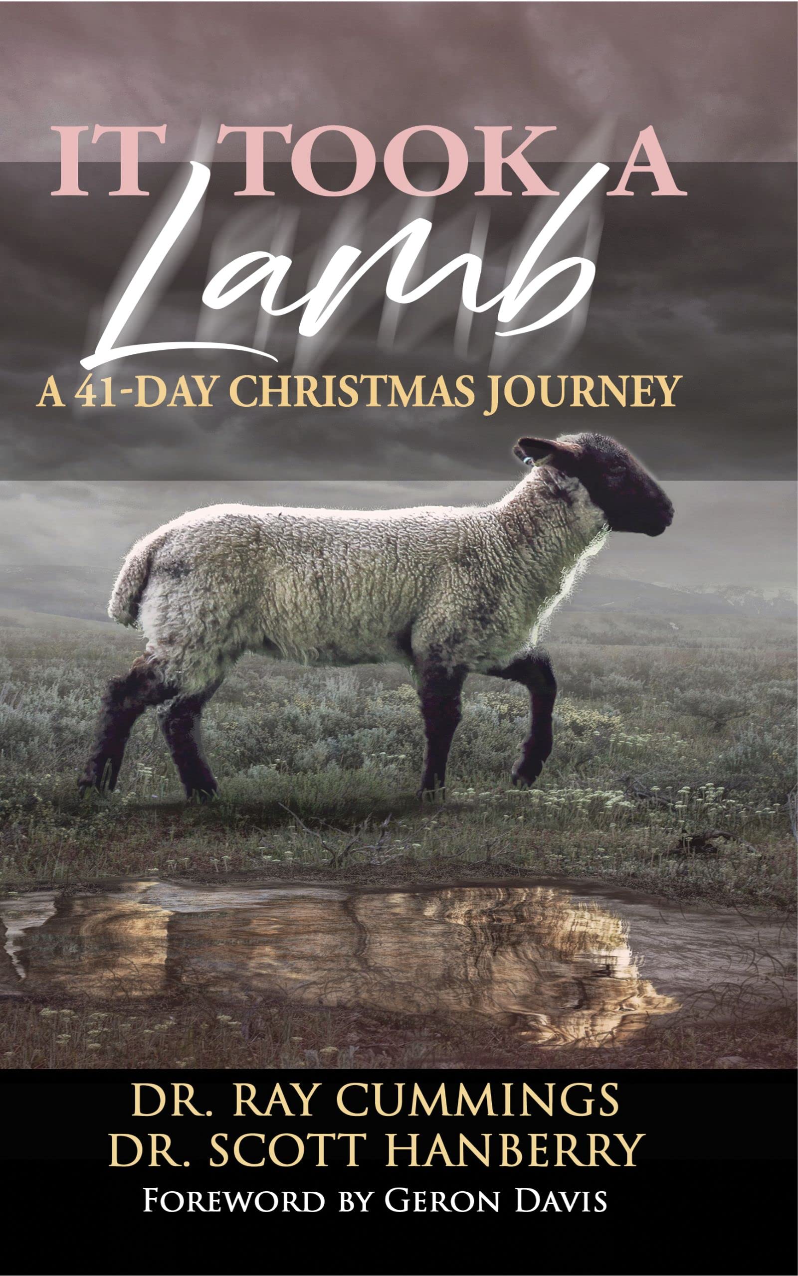 It Took a Lamb: A 41-Day Christmas Journey by Ray Cummings | Goodreads