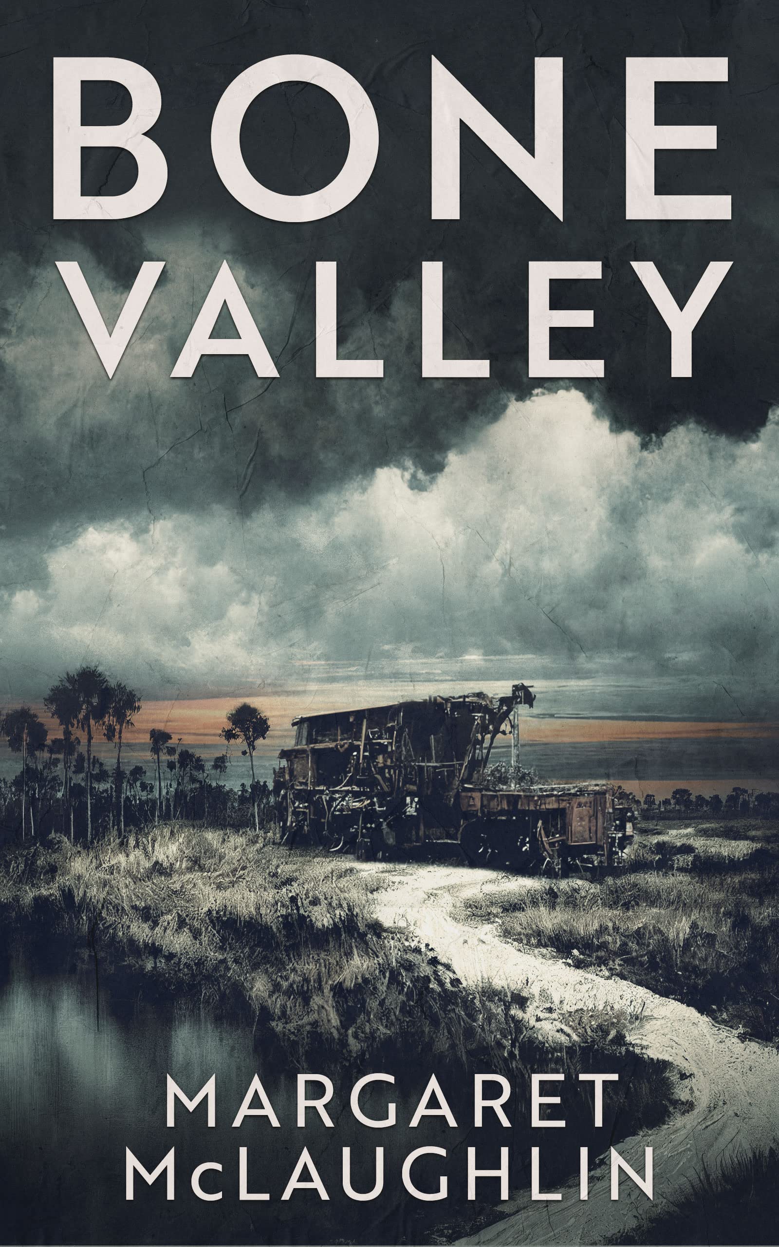 Bone Valley by Margaret McLaughlin | Goodreads