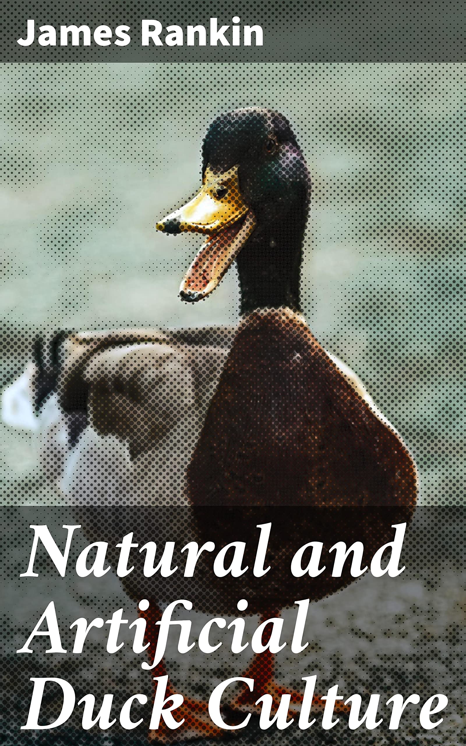 Natural and Artificial Duck Culture: Exploring the Complexities of Duck ...