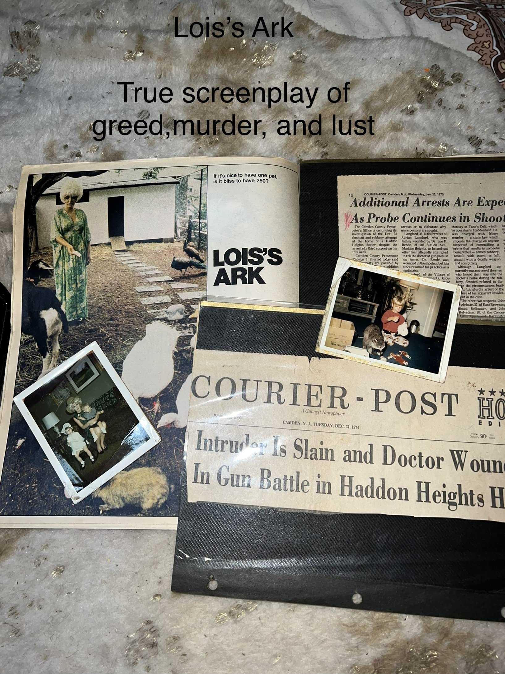 Lois’s Ark by Danielle Rose Bende | Goodreads