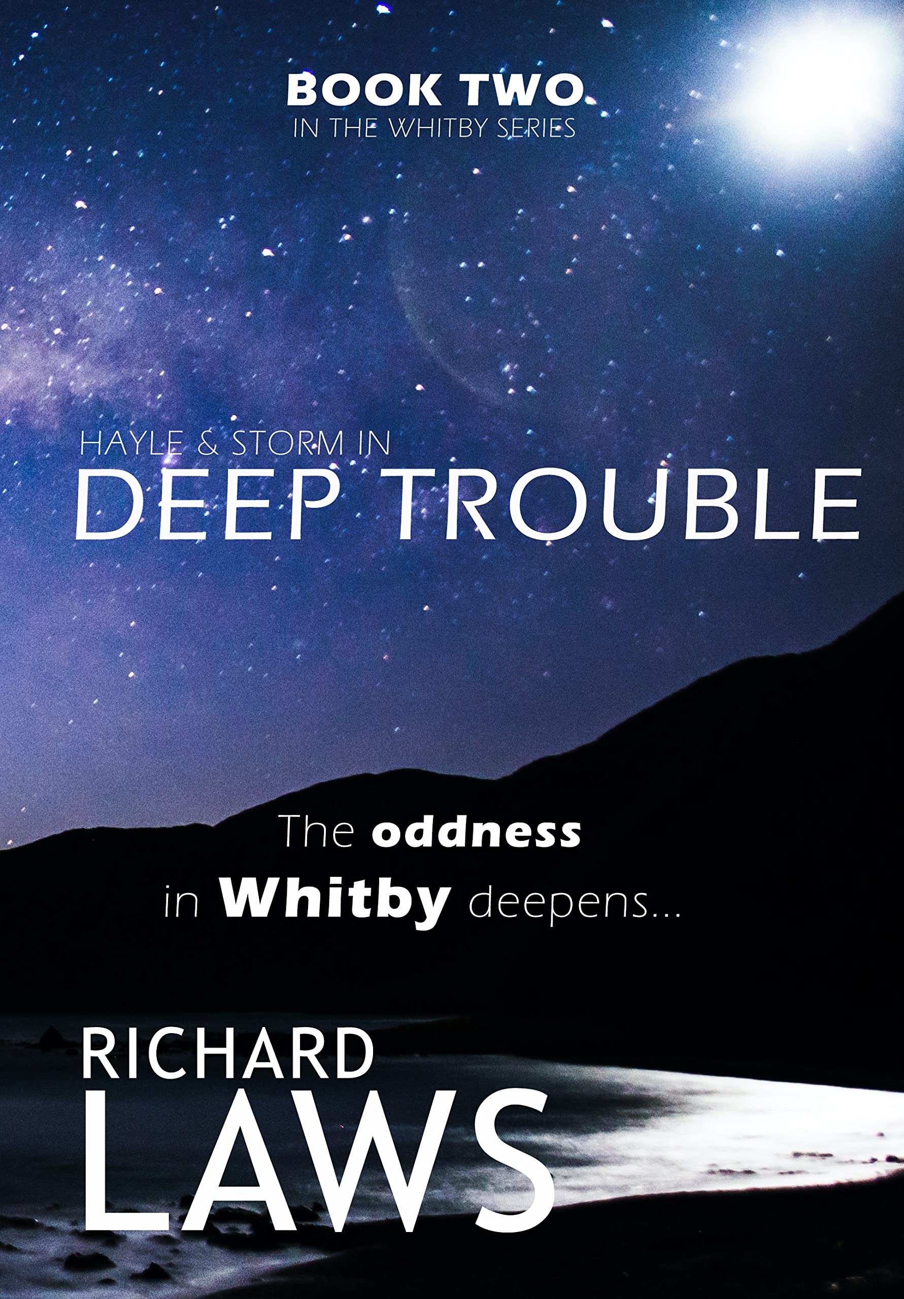 Deep Trouble: Hayle & Storm Book Two by Richard Laws | Goodreads