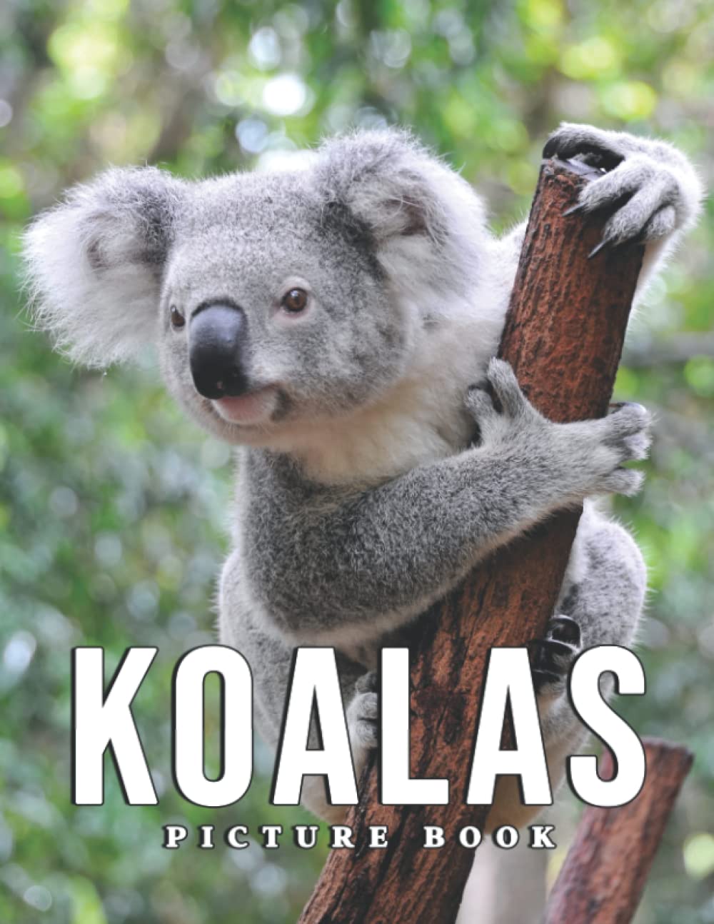 A Photo Book Of Koalas: An Album Consist Of Compelling Photos ...