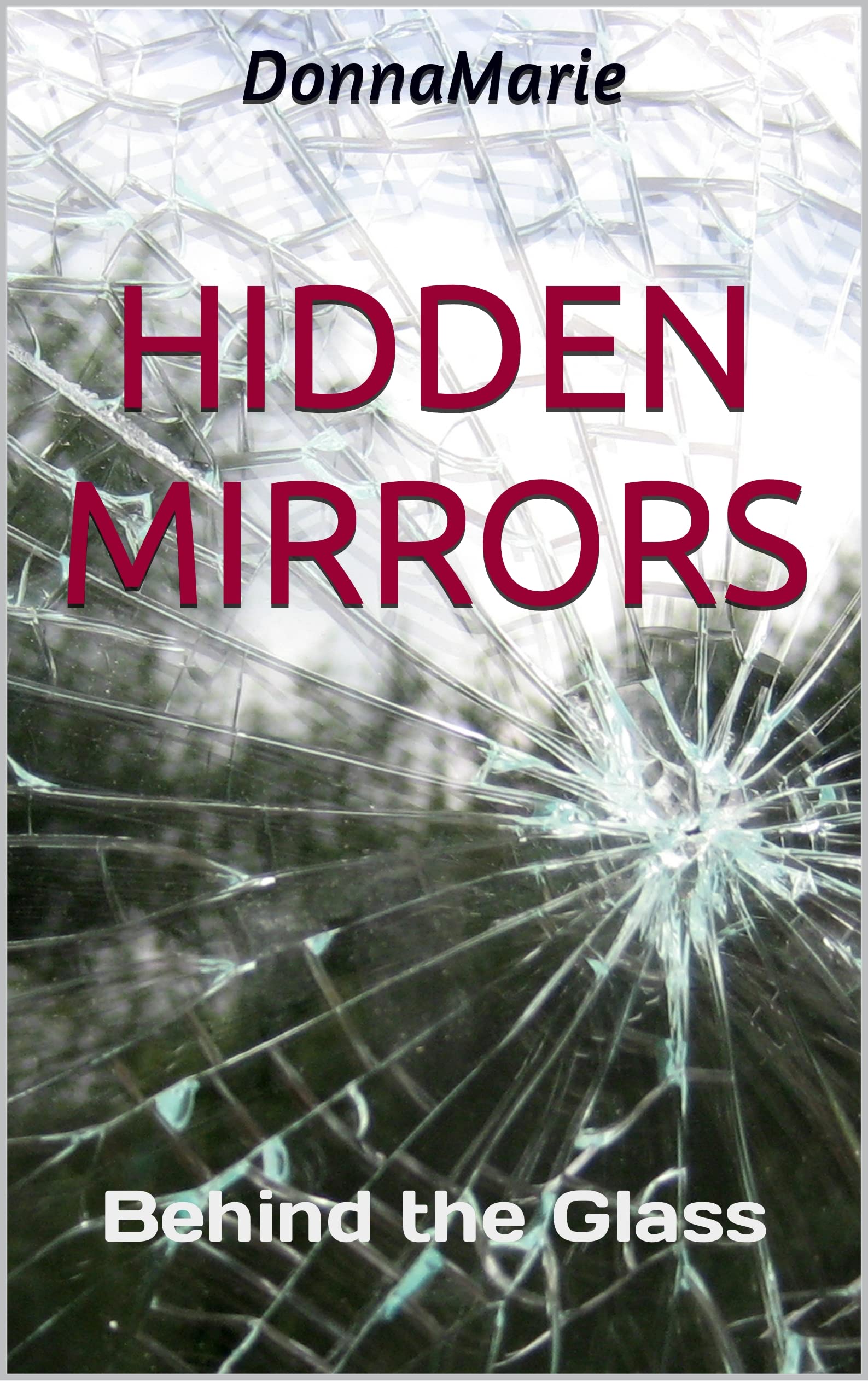 HIDDEN MIRRORS: Behind the Glass by DonnaMarie | Goodreads