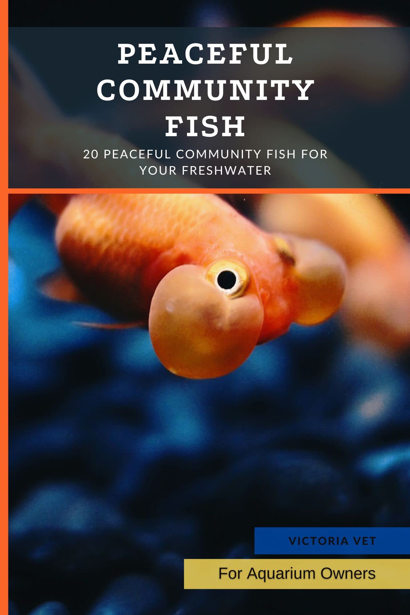 Peaceful Community Fish: 20 Peaceful Community Fish for Your Freshwater ...