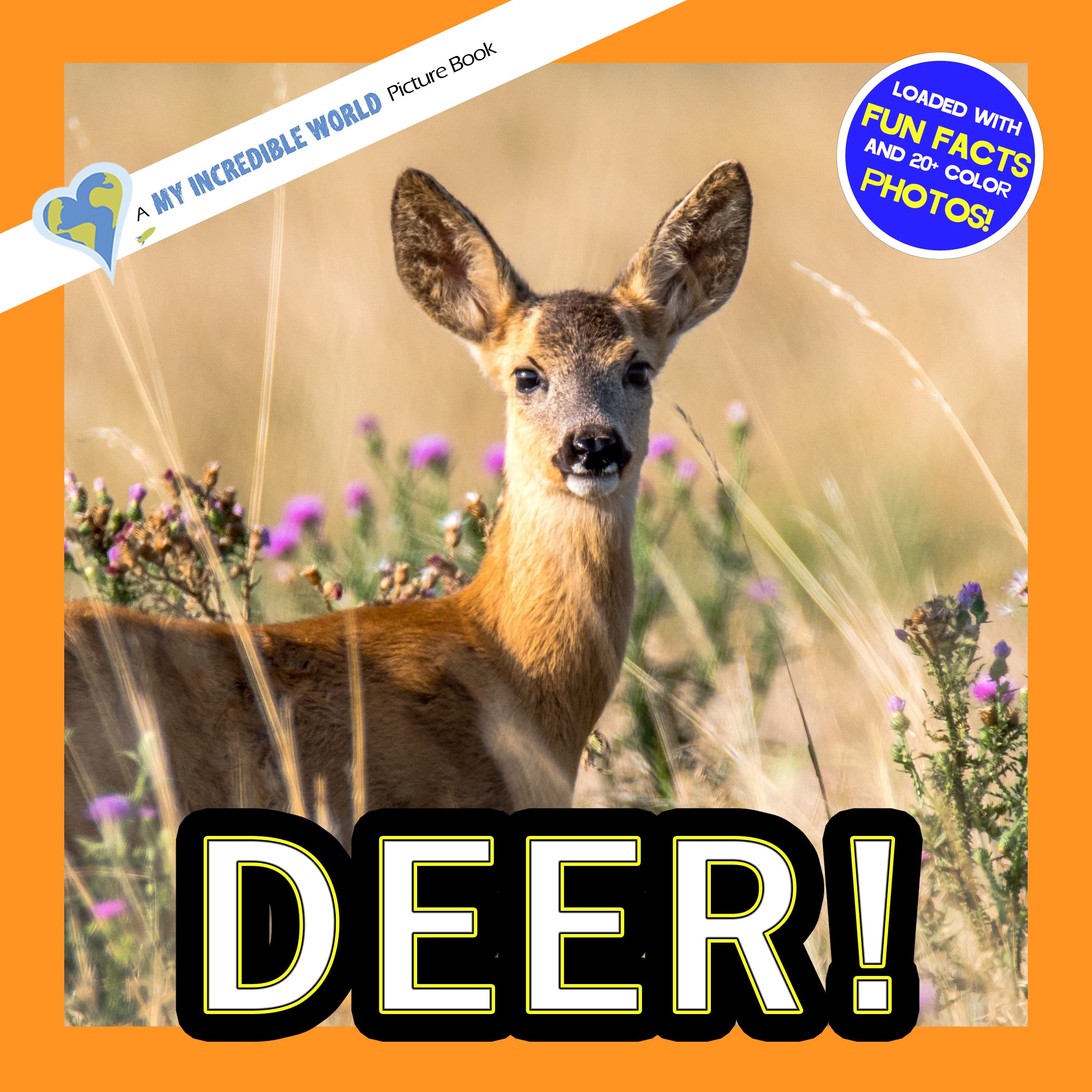 Deer!: A My Incredible World Picture Book for Children by My Incredible ...