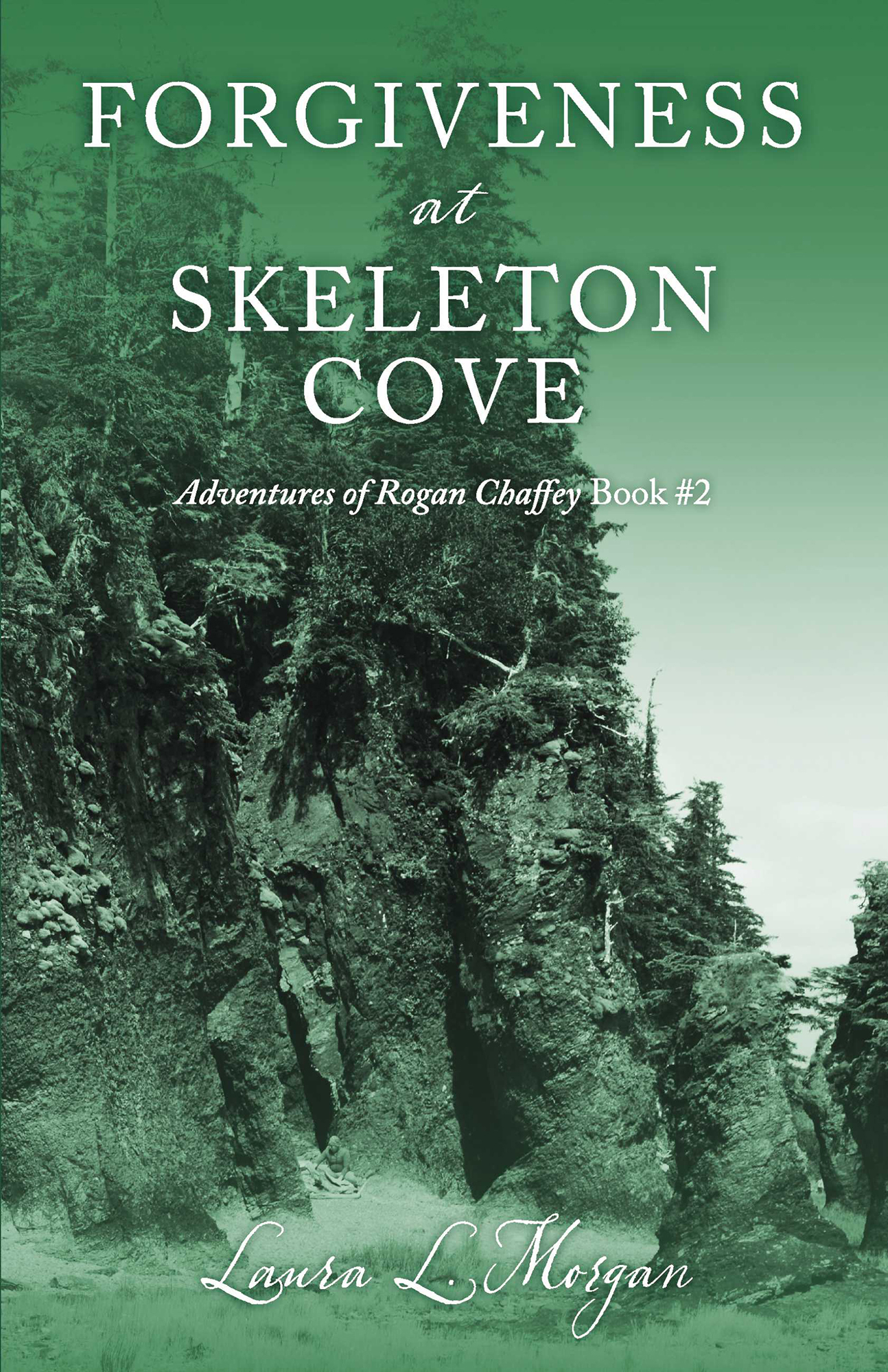 Forgiveness at Skeleton Cove: The Adventures of Rogan Chaffey Book #2 ...