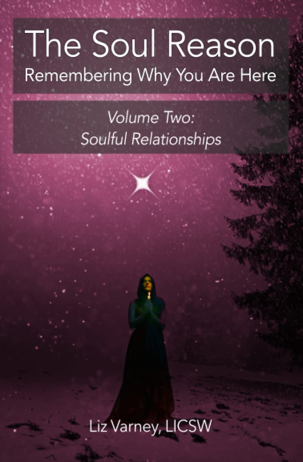 The Soul Reason, Volume 2: Soulful Relationships by Liz Varney | Goodreads