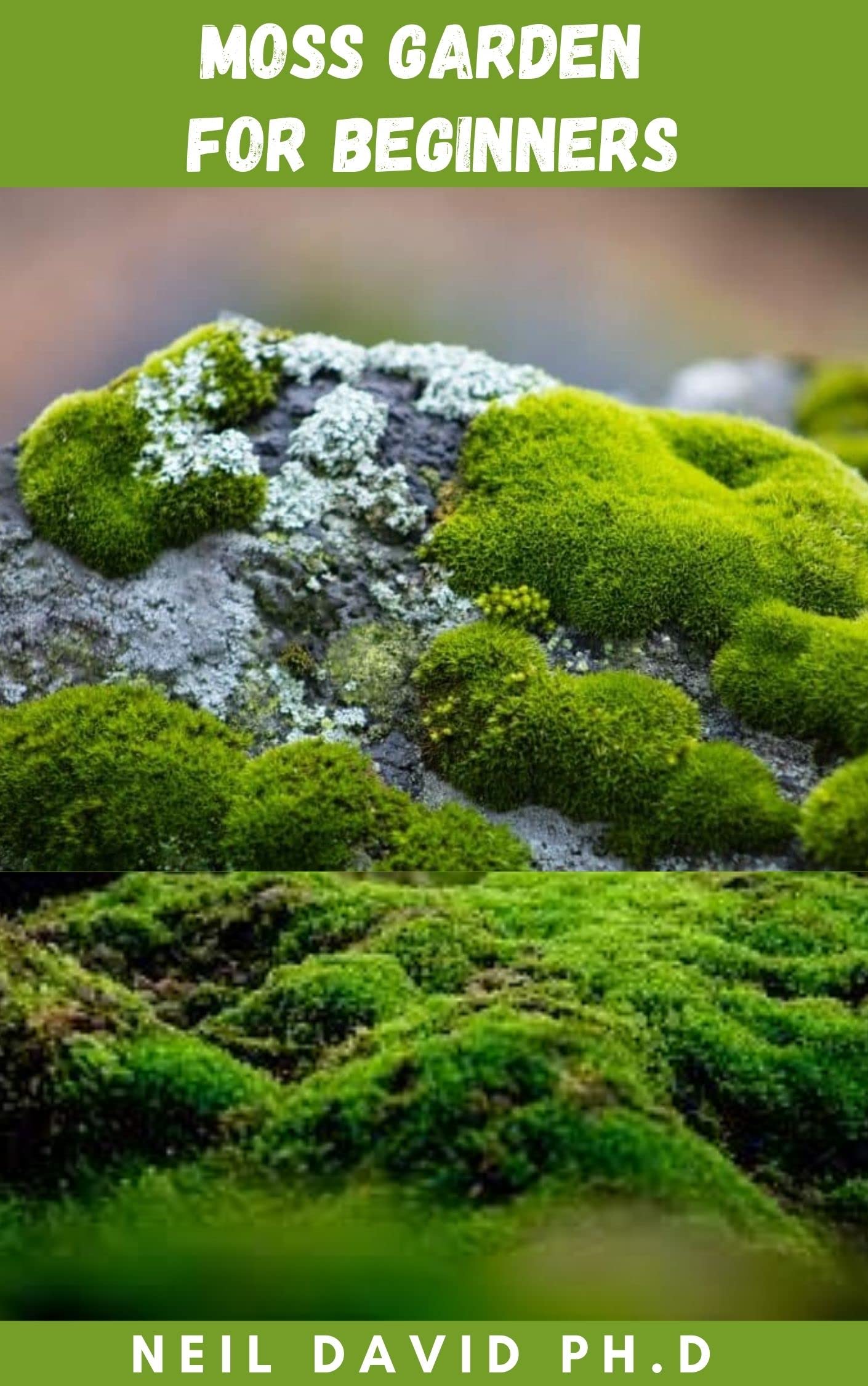 MOSS GARDEN FOR BEGINNERS: Essential Guide That Shows You The Beauty Of This Lovely Moss Plant ...