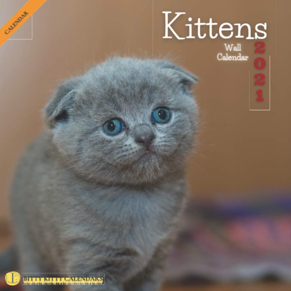 2021 Kittens Wall Calendar: Cute Cats Calendars by Bitty Kitty | Goodreads