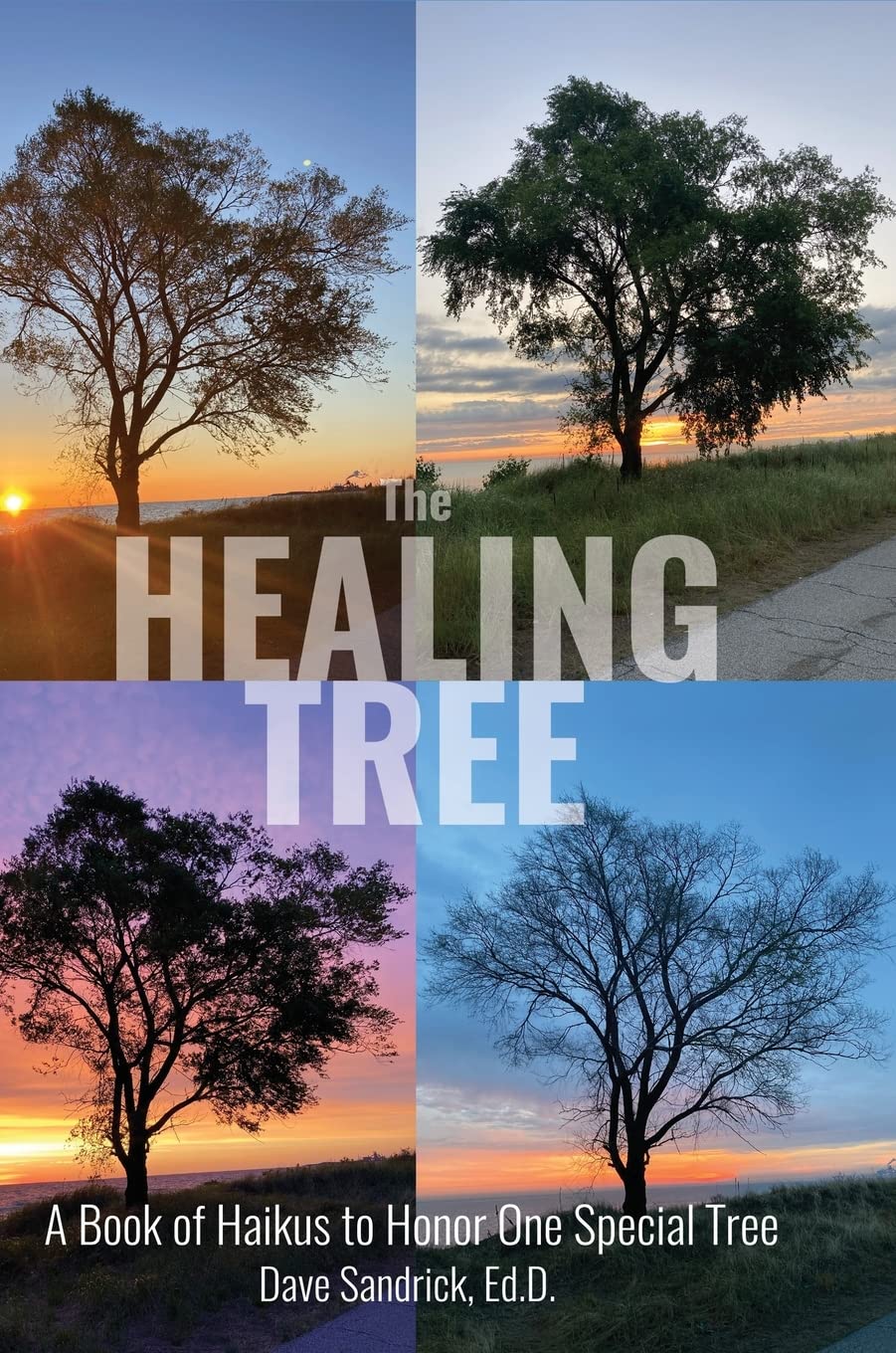 The Healing Tree: A Book of Haikus to Honor One Special Tree by Dave ...