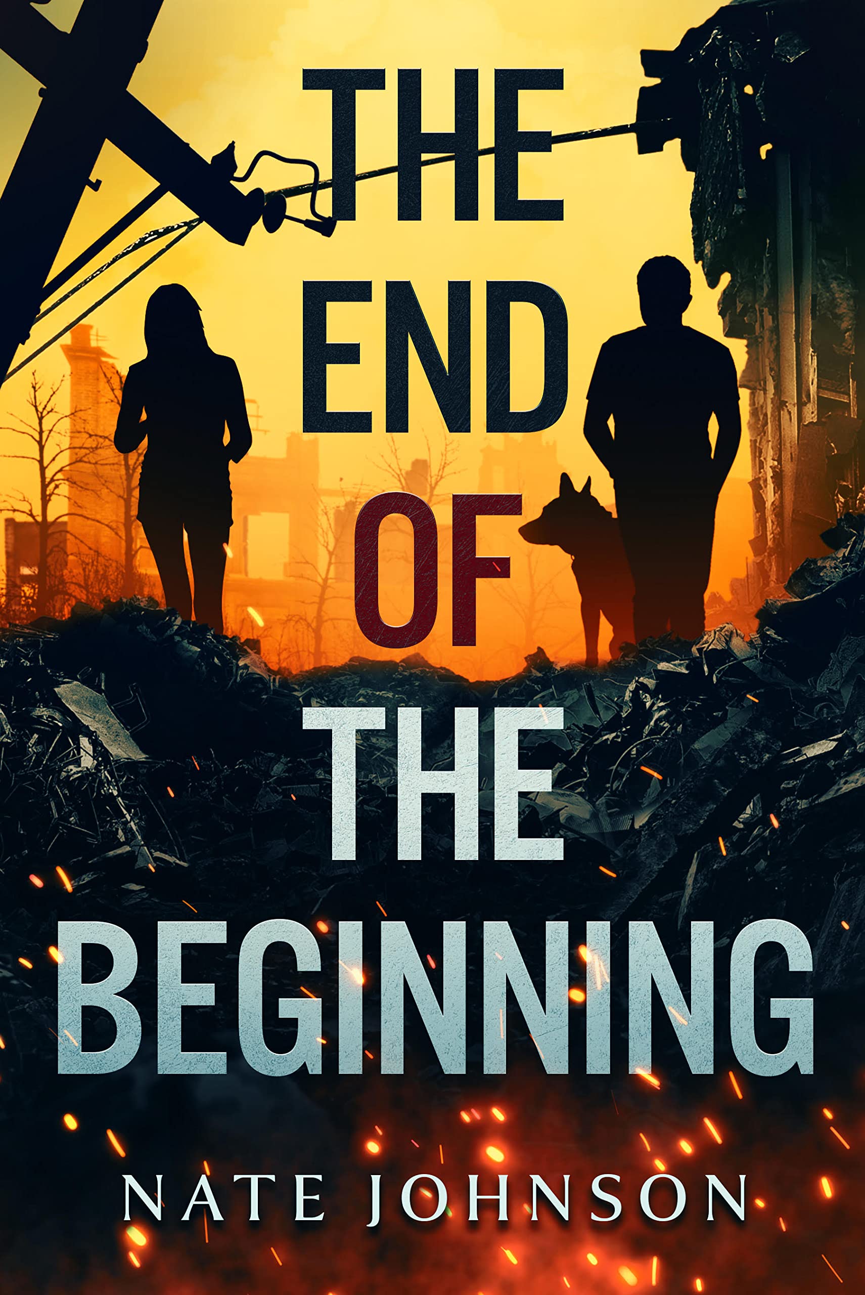 The End of the Beginning (The End of Everything #2) by Nate Johnson ...