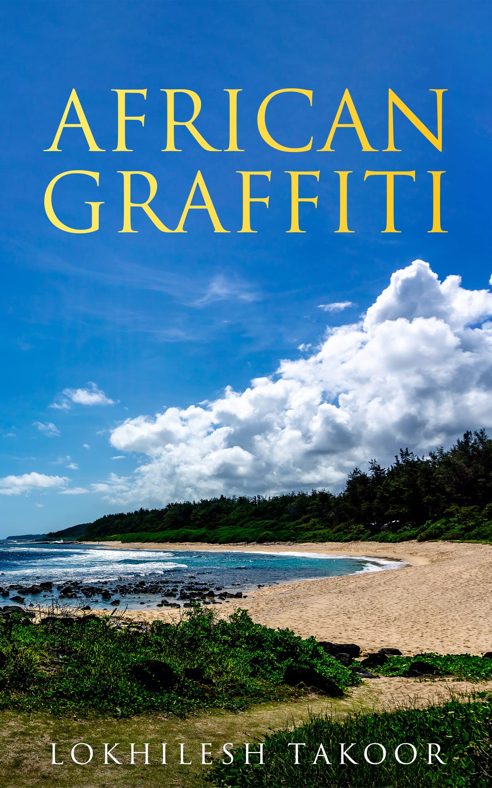 African Graffiti by Lokhilesh Takoor | Goodreads