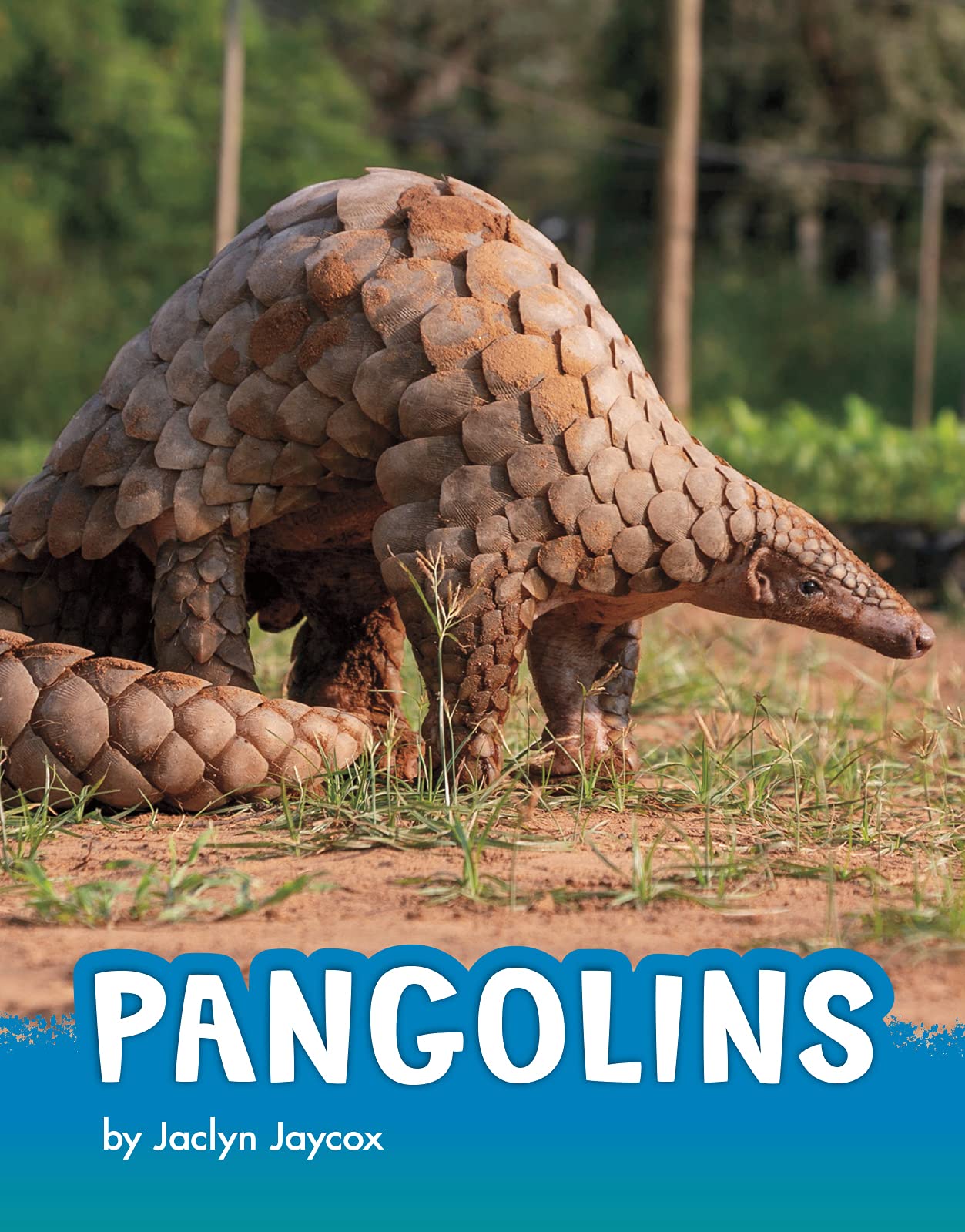 Pangolins (Animals) by Jaycox | Goodreads