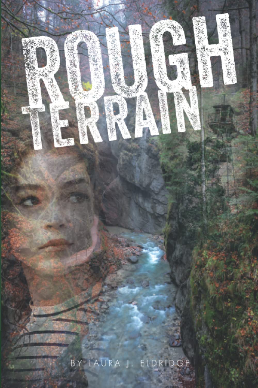 Rough Terrain by Laura J Eldridge | Goodreads