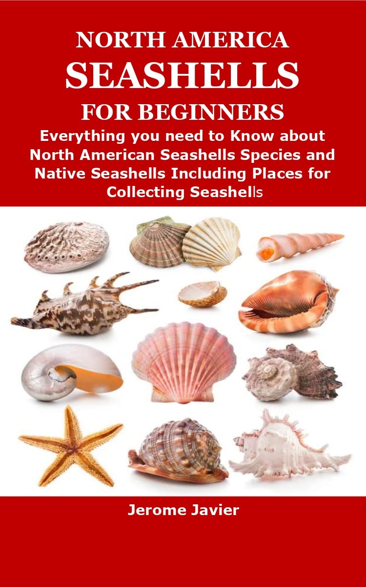 NORTH AMERICA SEASHELLS FOR BEGINNERS: Everything you need to Know ...