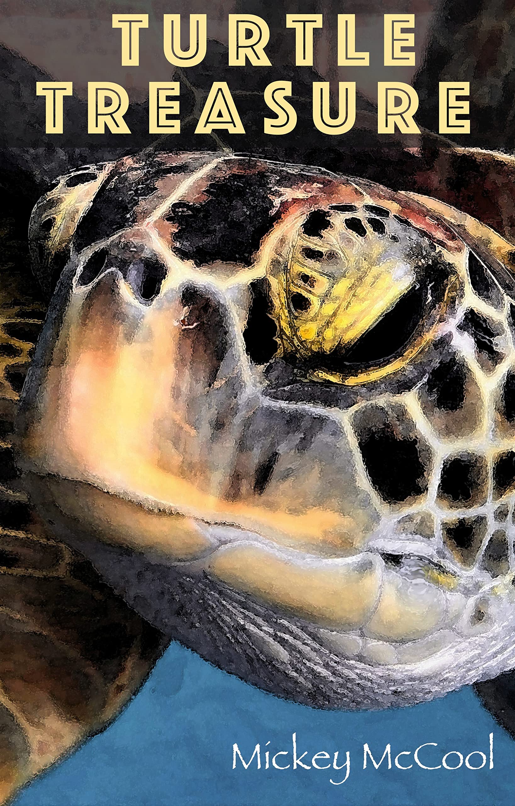 TURTLE TREASURE: The Turtle That Followed Me Home by Mickey McCool ...