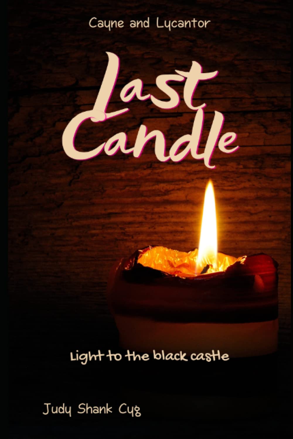 Last Candle: Light to the Black Castle by Judy Shank Cyg | Goodreads
