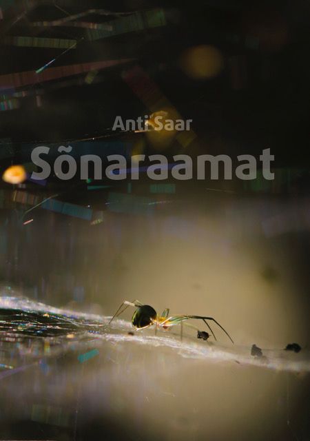 Sõnaraamat by Anti Saar | Goodreads