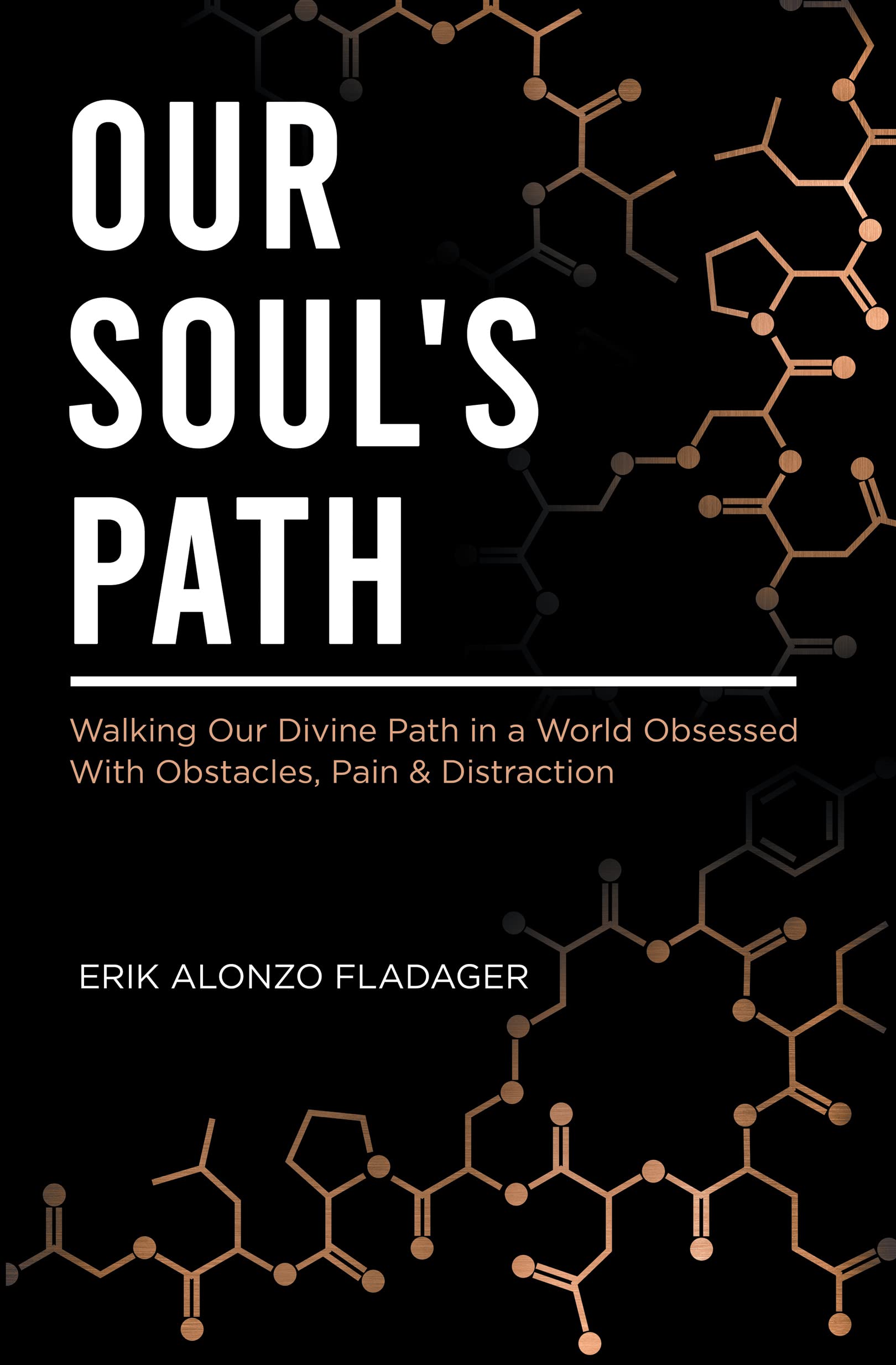 Our Soul's Path: Walking Our Divine Path in a World Obsessed With ...