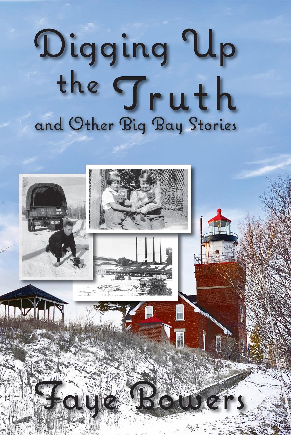 Digging Up the Truth and Other Big Bay Stories by Faye Bowers | Goodreads
