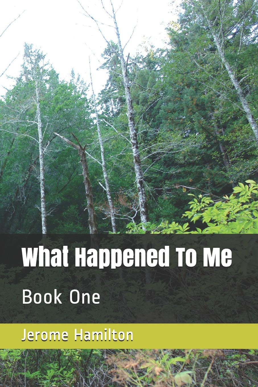 What Happened To Me: Book One (One More Story) by Jerome Hamilton ...