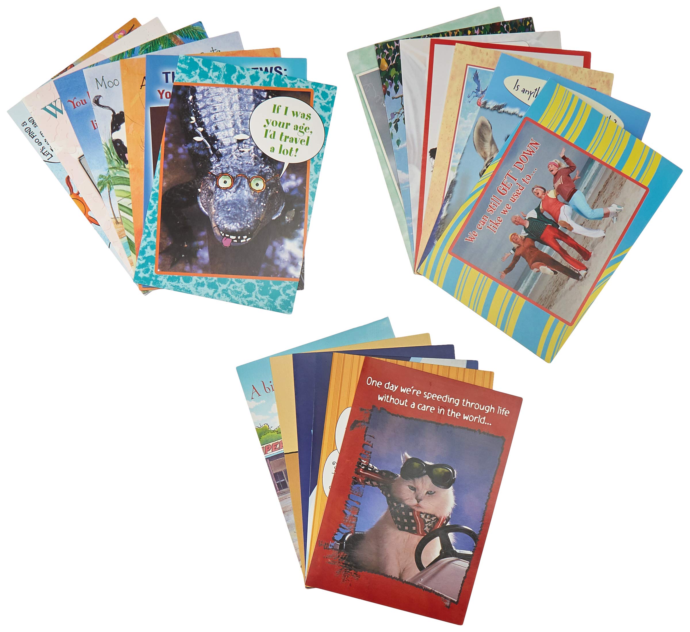 Leanin Tree Laugh Out Loud Greeting Card Assortment by Leanin' Tree ...