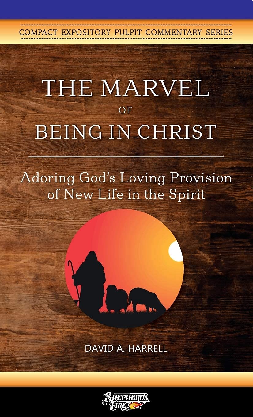 The Marvel of Being in Christ: Adoring God's Loving Provision of New ...