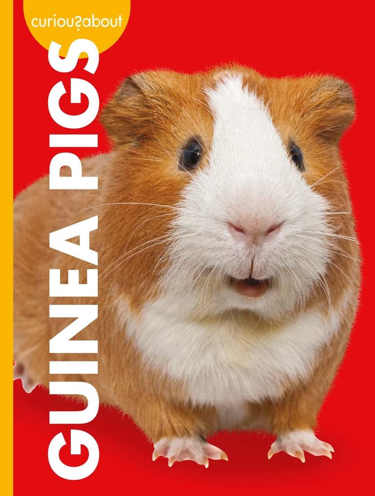 Curious about Guinea Pigs (Curious about Pets) by Alissa Thielges ...