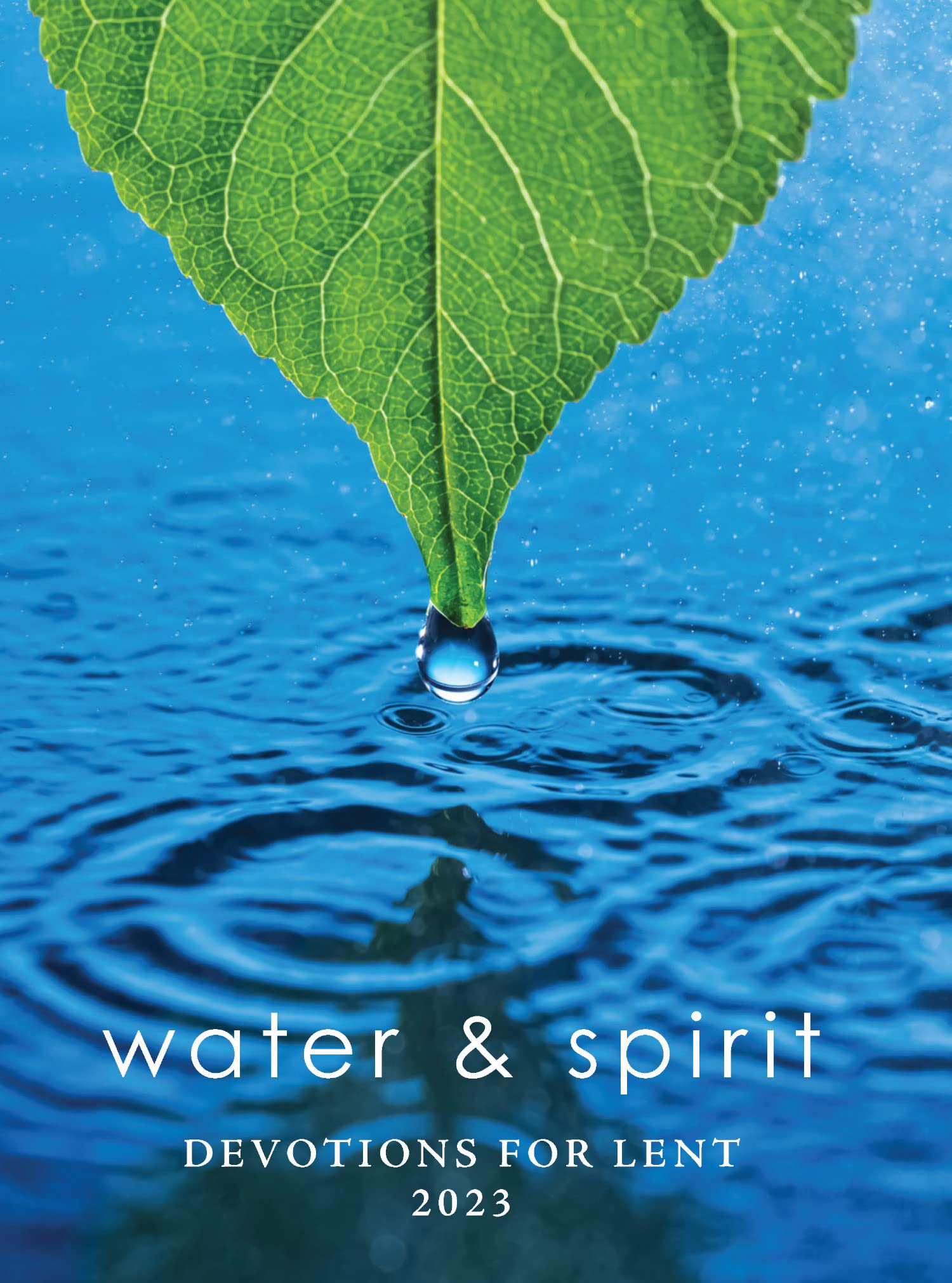 Devotions for Lent 2023 by Meghan Johnston Aelabouni | Goodreads