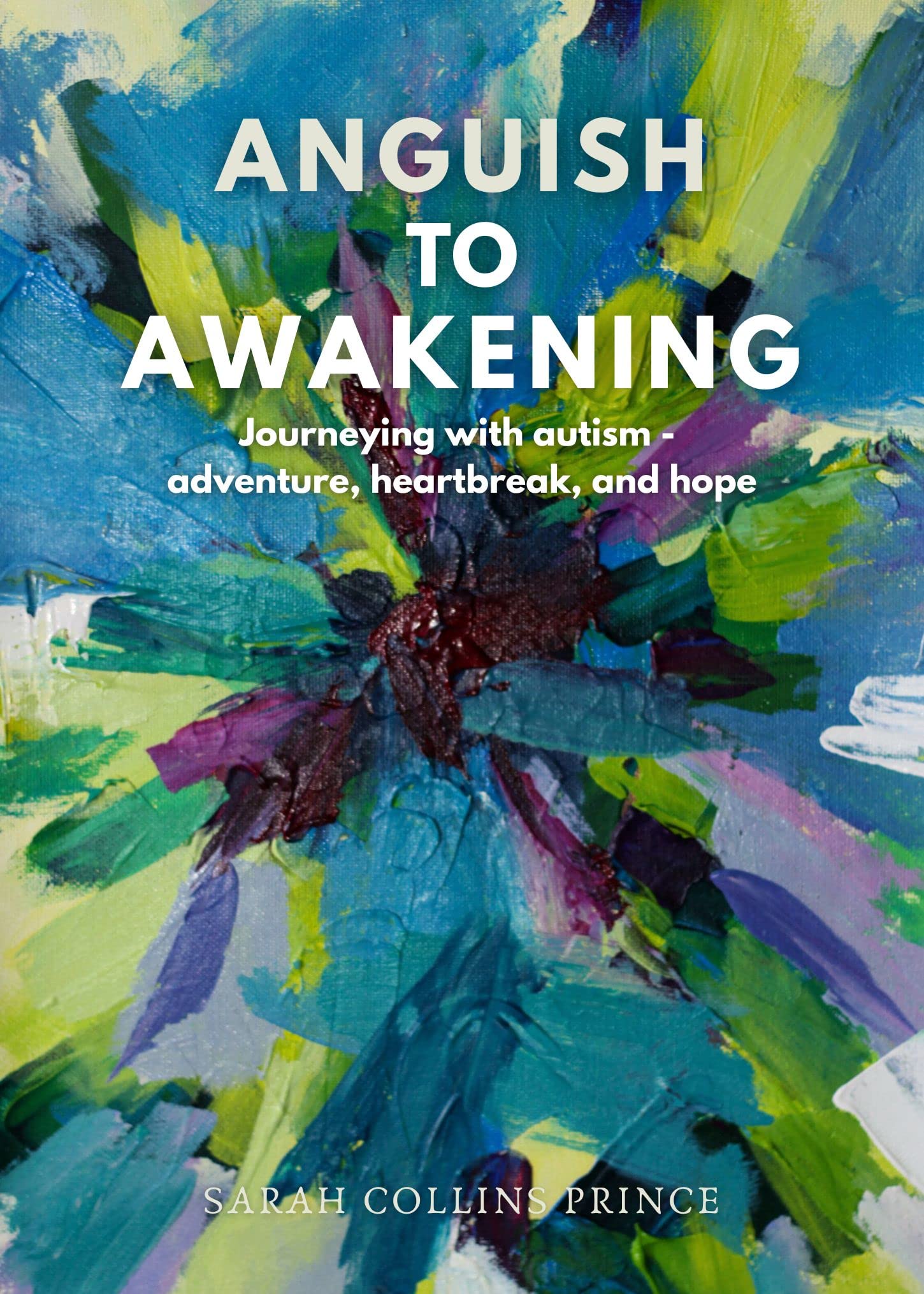 Anguish To Awakening: Journeying with autism - adventure, heartbreak ...