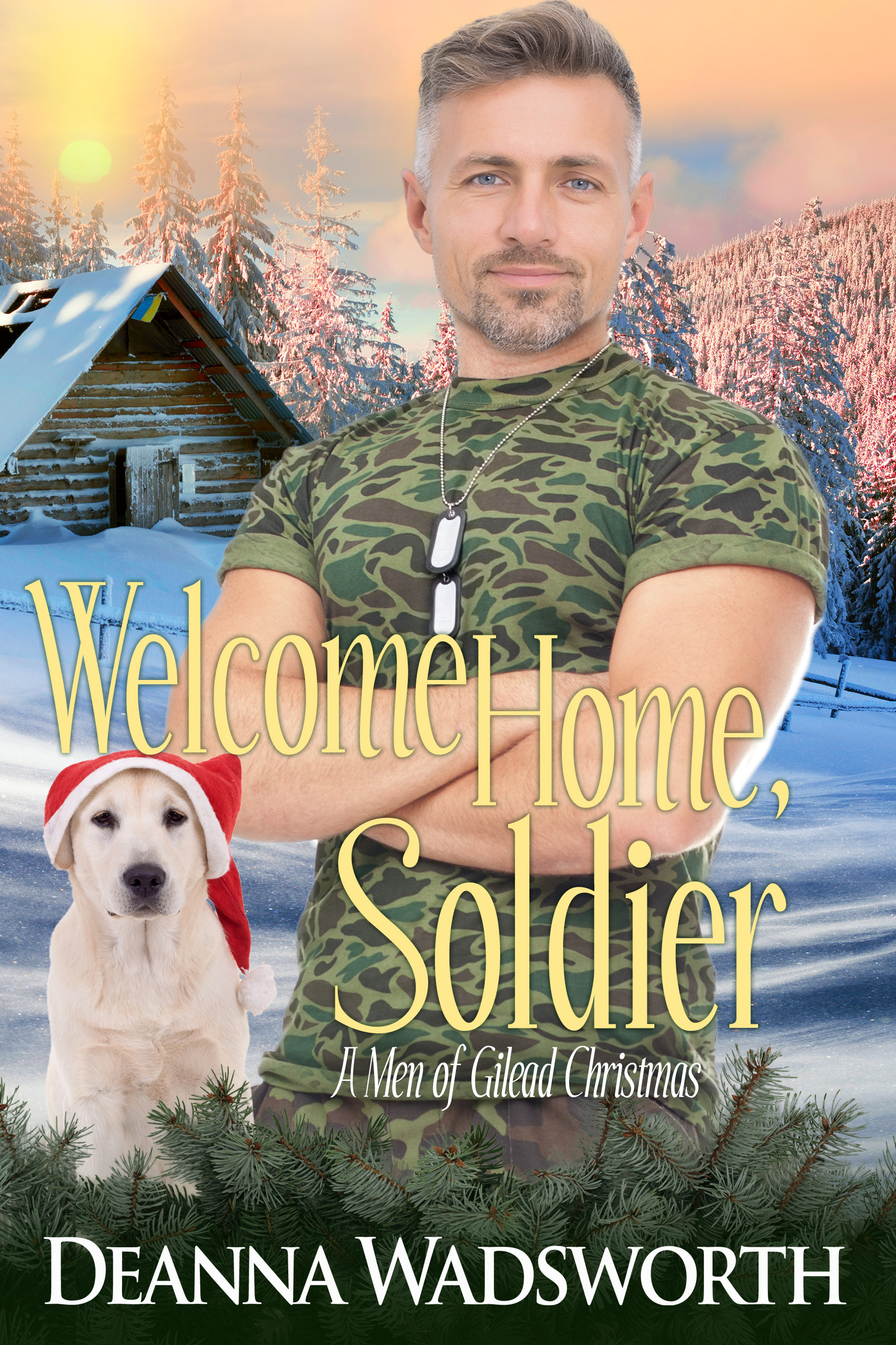 Welcome Home, Soldier by Deanna Wadsworth | Goodreads