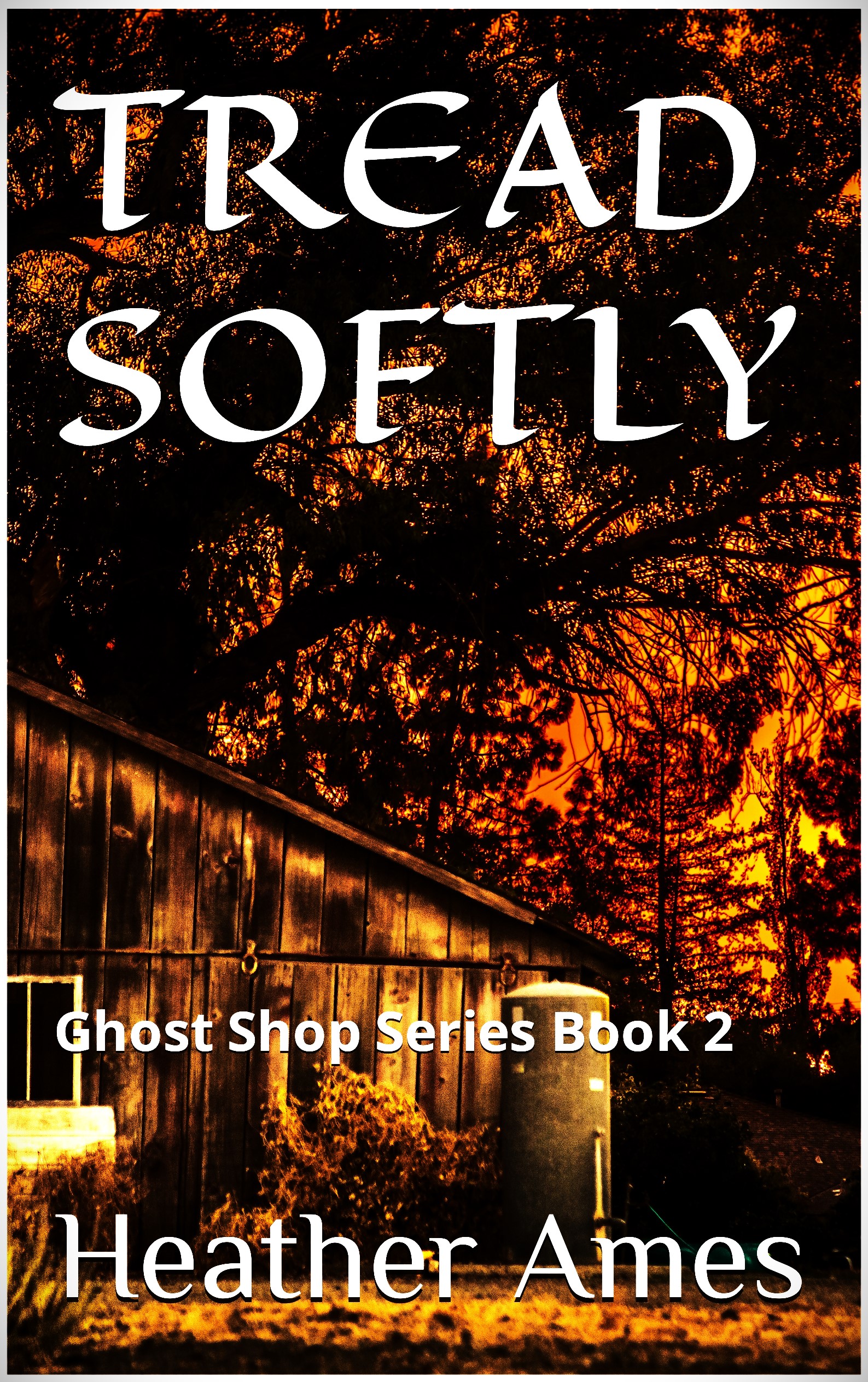 Tread Softly: (Ghost Shop Series, #2) by Heather Ames | Goodreads