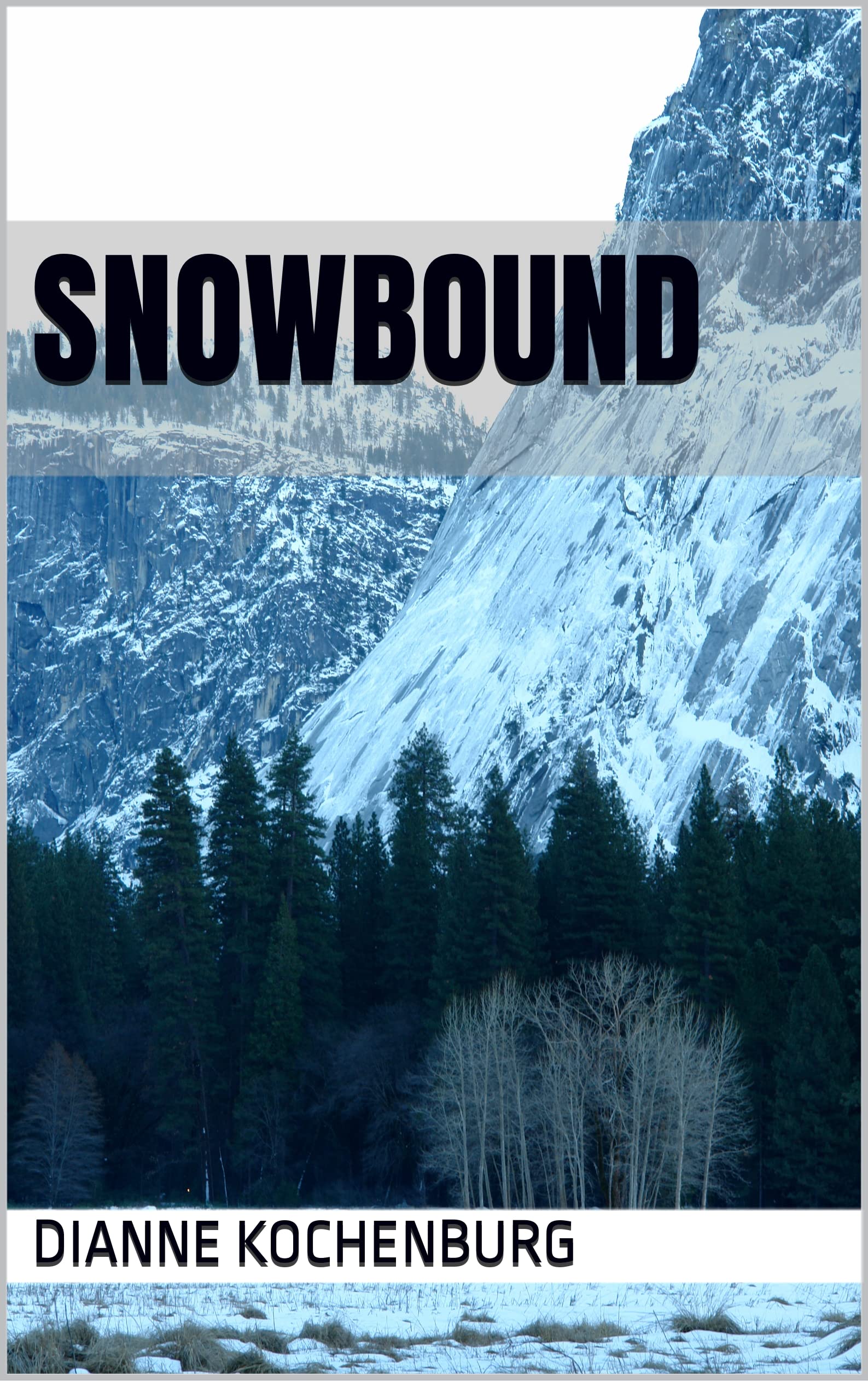 Snowbound by Dianne Kochenburg | Goodreads