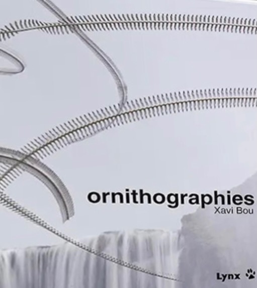 Ornithographies by Xavi Bou | Goodreads