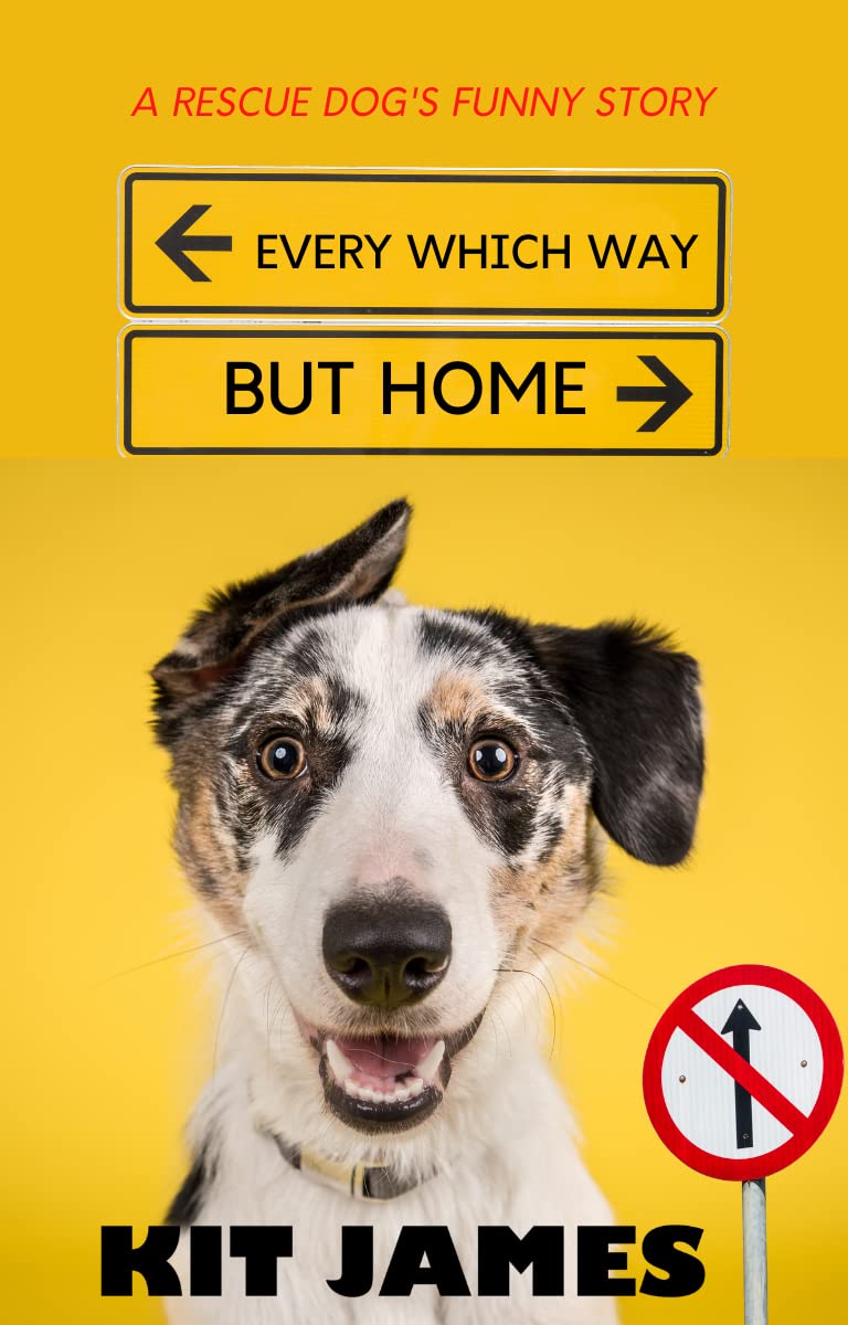 EVERY WHICH WAY BUT HOME: A dog story for adults by Kit James | Goodreads