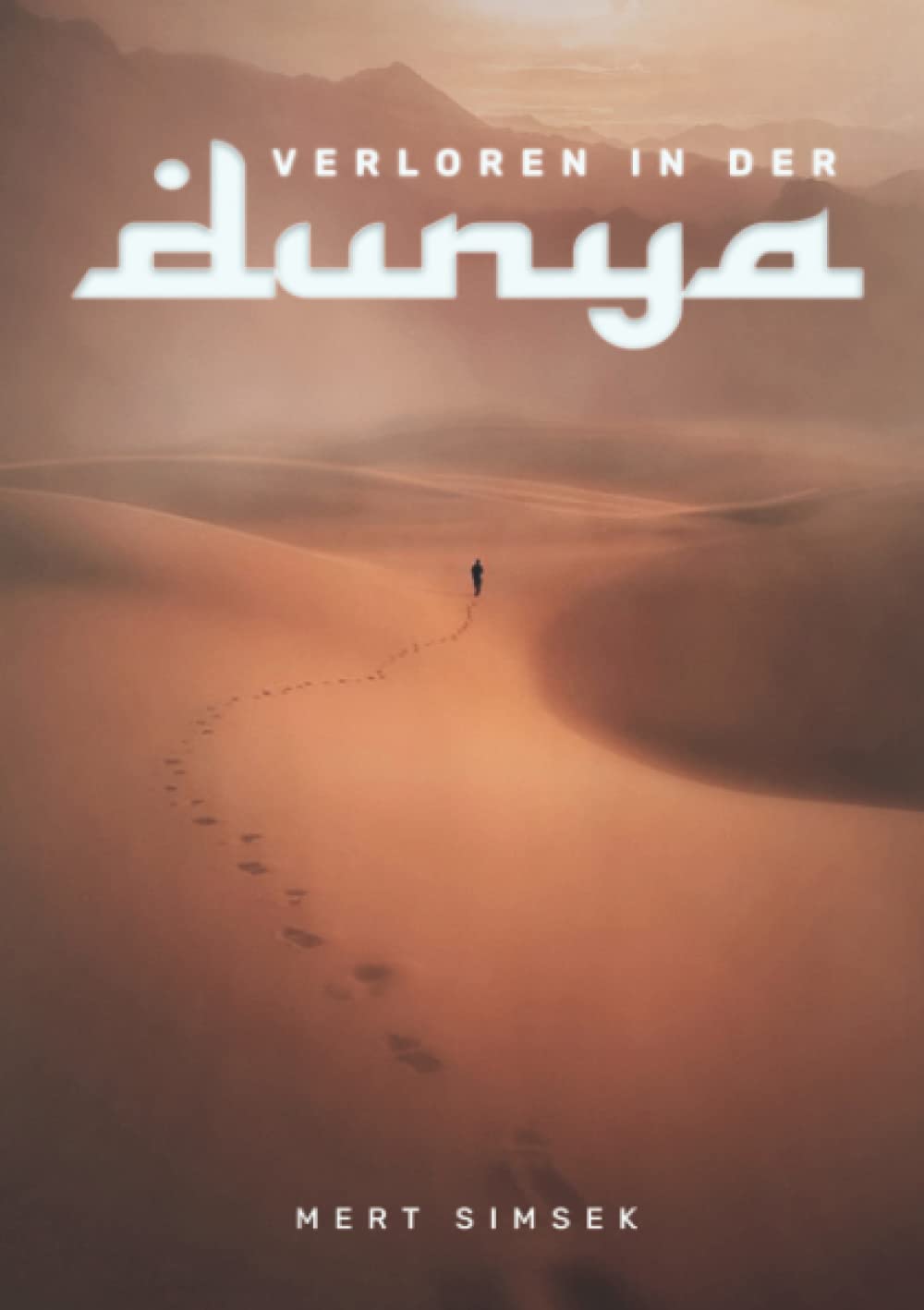 Verloren In Der Dunya Buch
