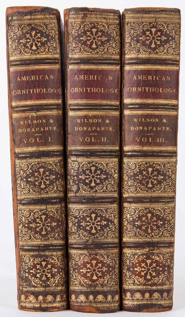 American Ornithology: or, the Natural History of the Birds of the ...