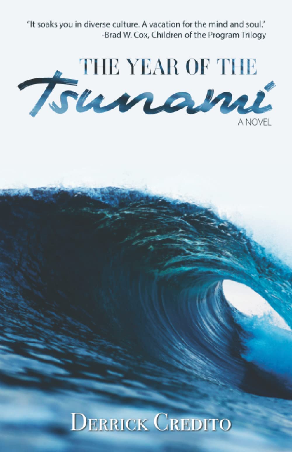 The Year of the Tsunami by Derrick Credito | Goodreads